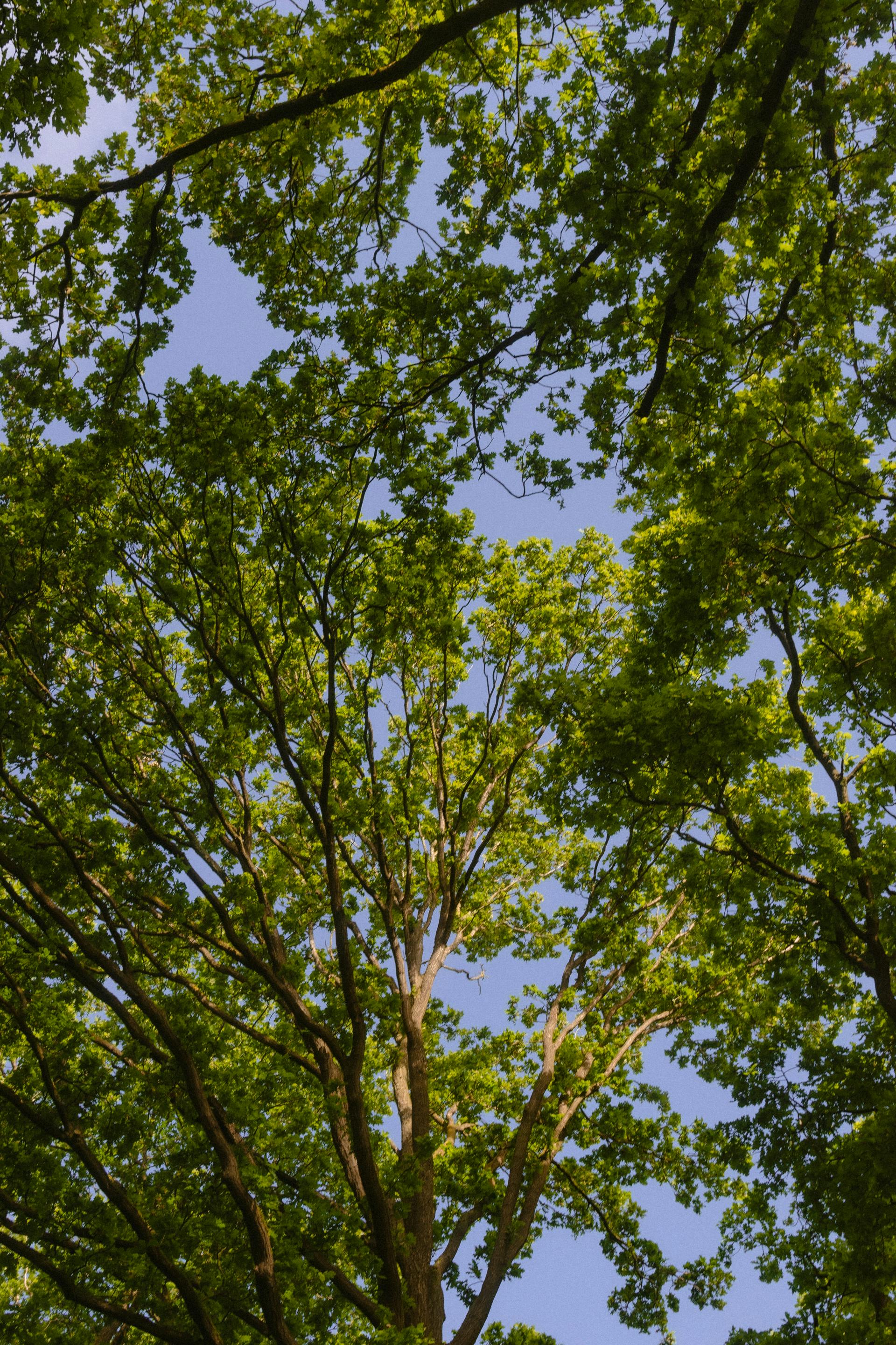 Neeraj+Pepsu+Wallpaper Photos, Download The BEST Free Neeraj+Pepsu ...