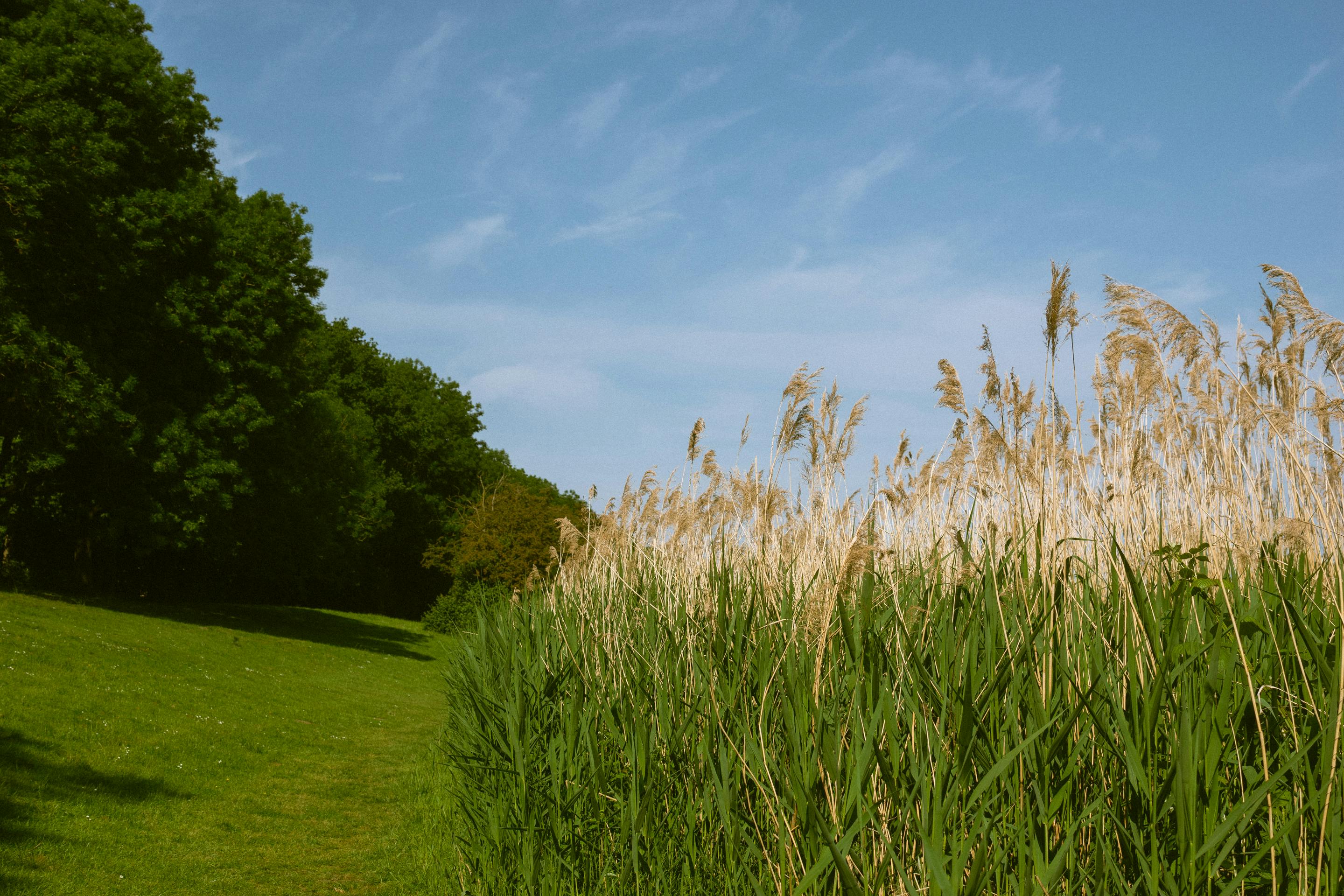 Babe+Of+The+Day+Scroller Photos, Download The BEST Free Babe+Of+The+Day ...