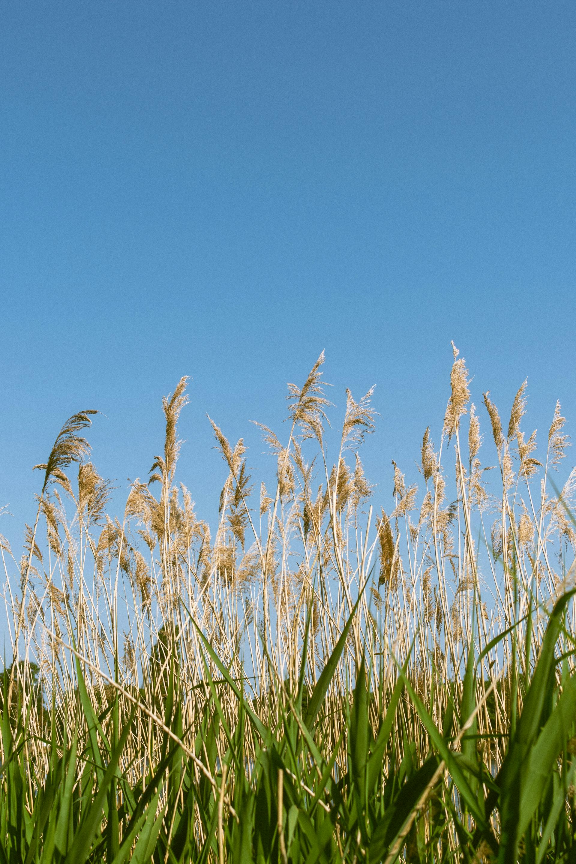 Hikaru+Nagi+Photo Photos, Download The BEST Free Hikaru+Nagi+Photo ...