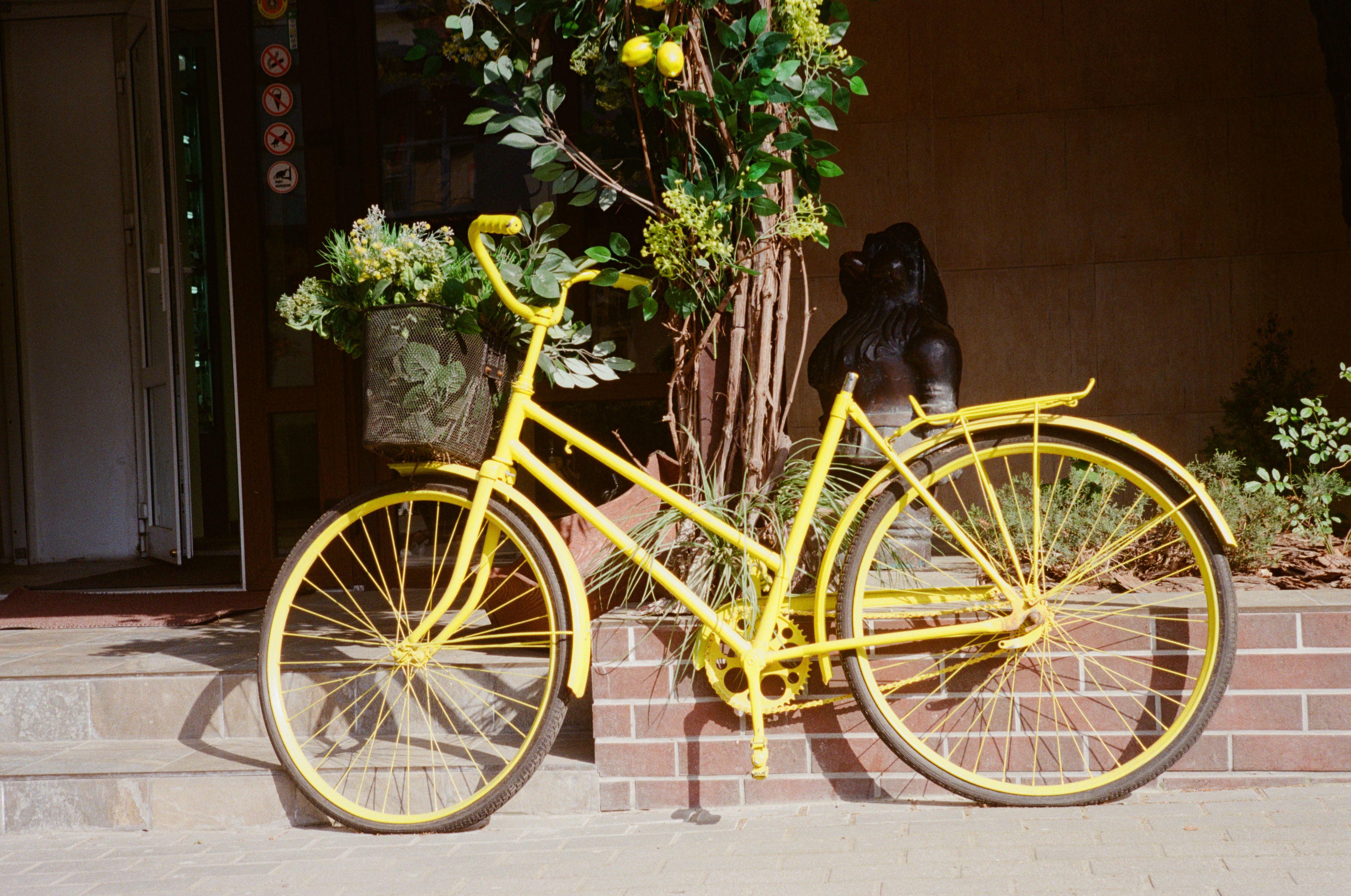 Bright Yellow Bicycle with Basket of Greenery Outdoors · Free Stock Photo