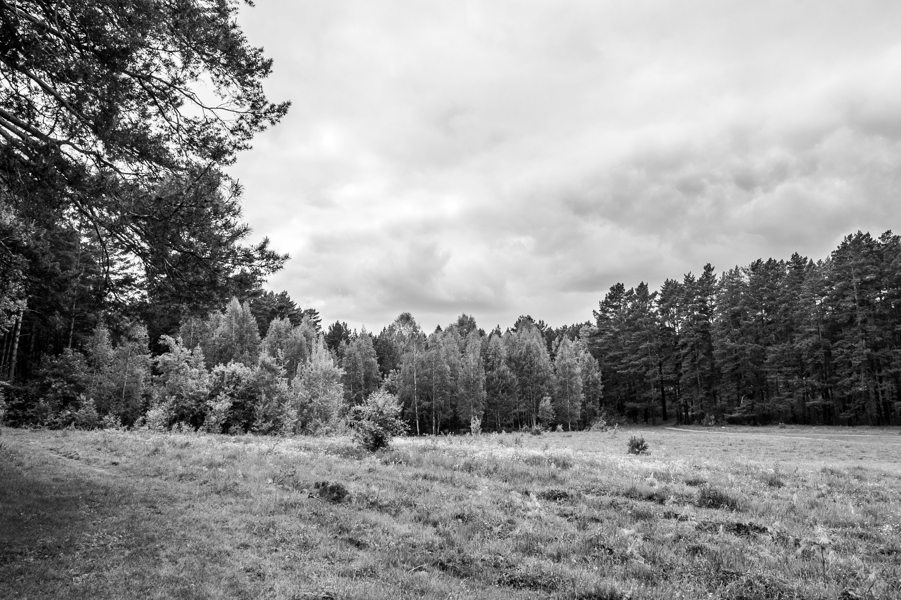 May Zoom Backgrounds Photos, Download The BEST Free May Zoom ...