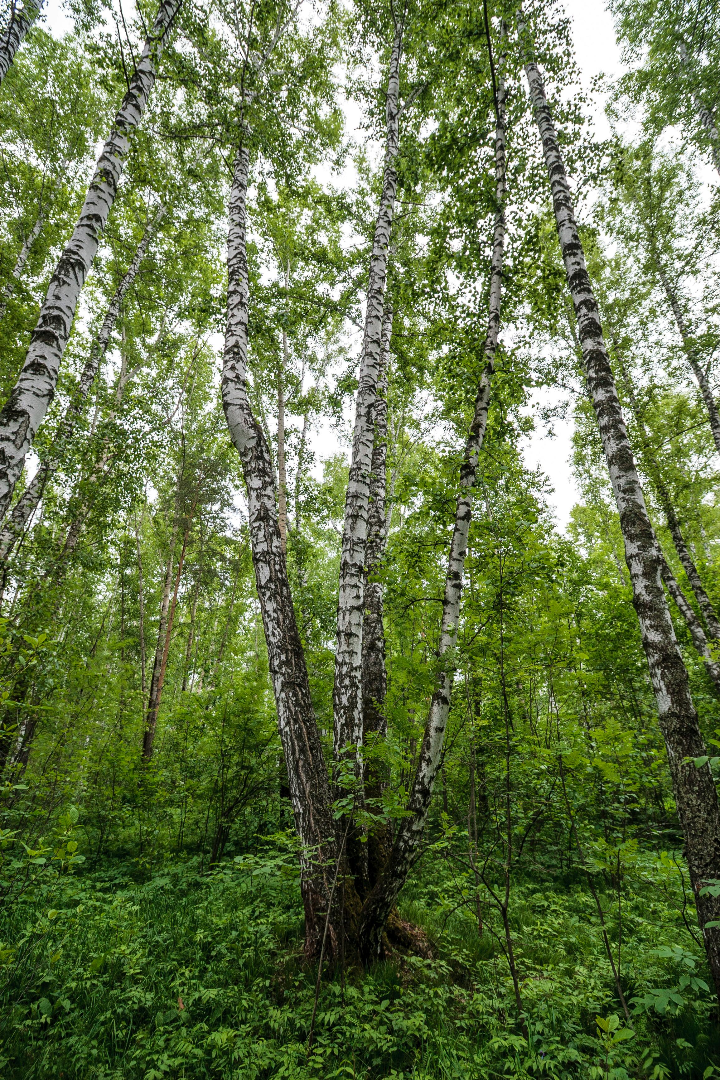 Aman Name Wallpaper Photos, Download The BEST Free Aman Name Wallpaper ...