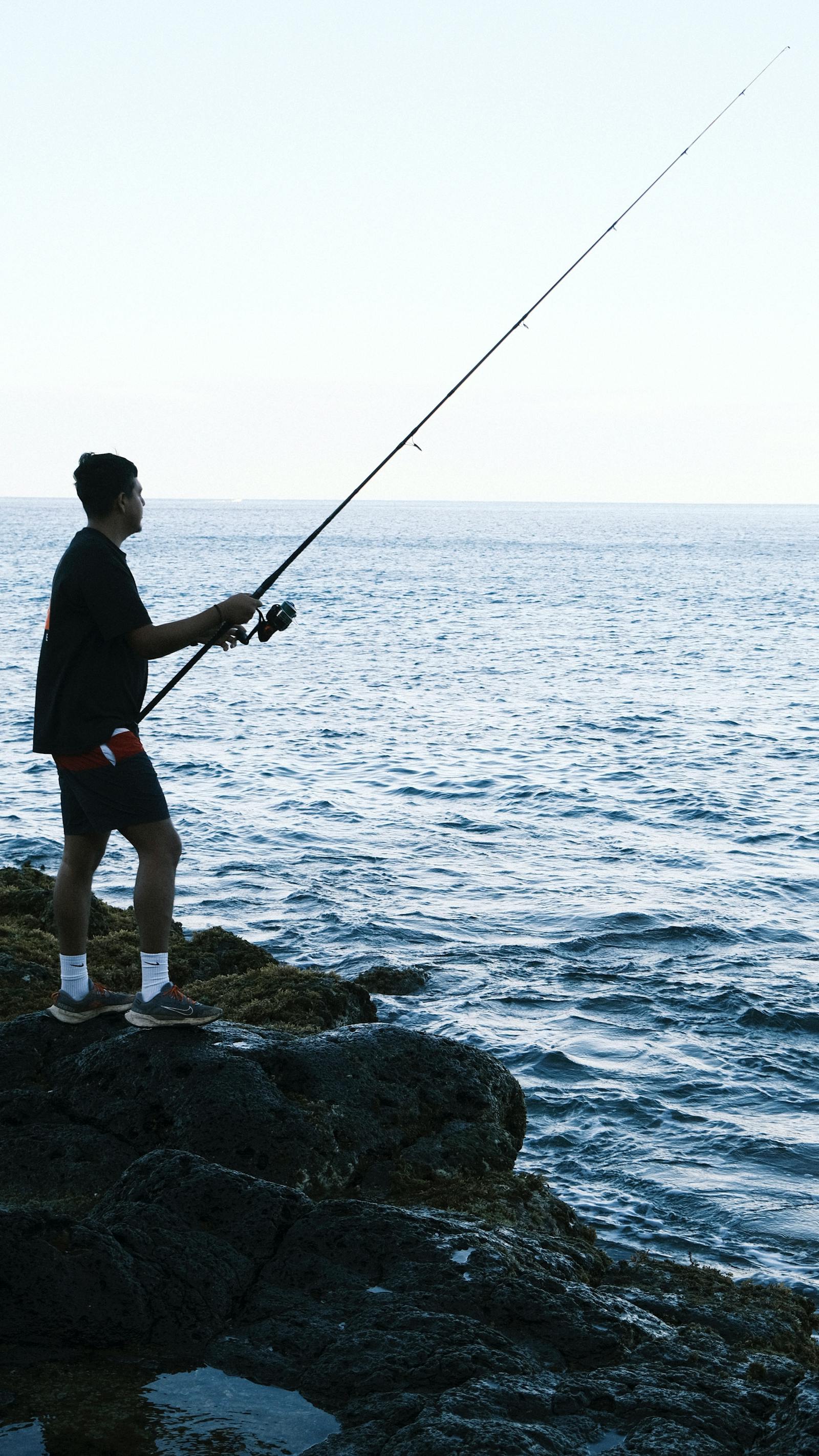 Fish Ocean Photos, Download The BEST Free Fish Ocean Stock Photos & HD ...