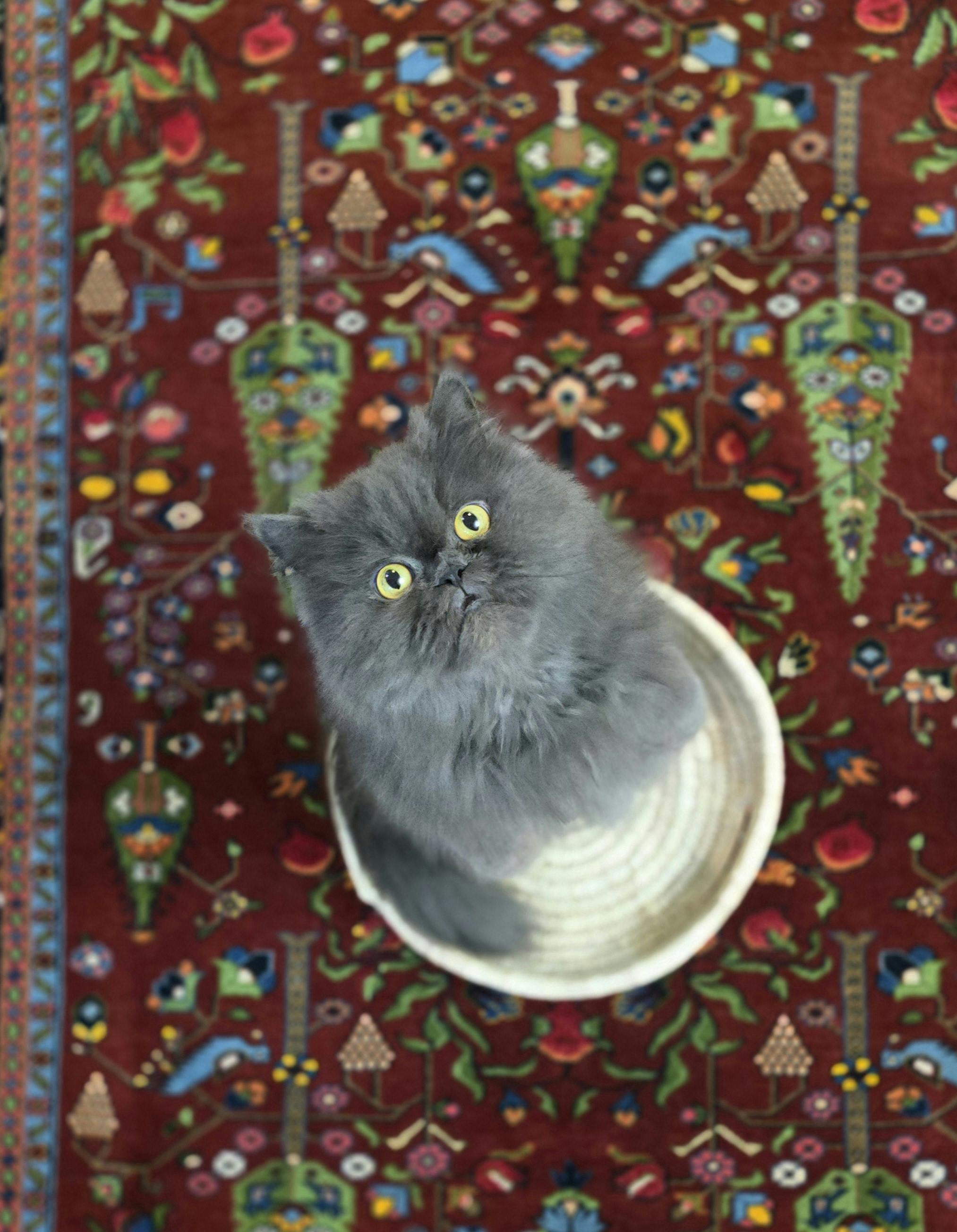 Textile Art Photos, Download The BEST Free Textile Art Stock Photos ...