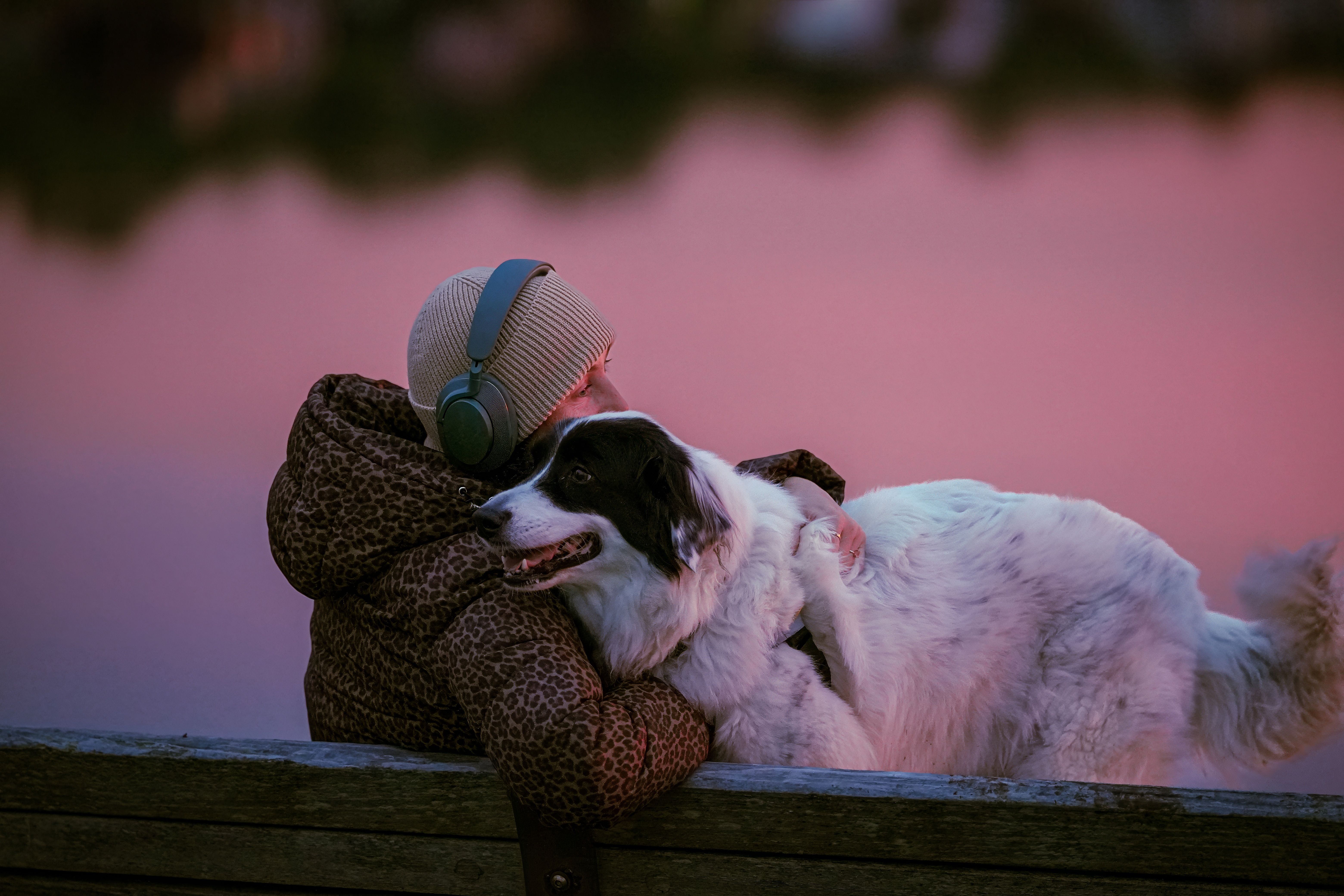 Peaceful Morning Embrace by the Lakeside · Free Stock Photo