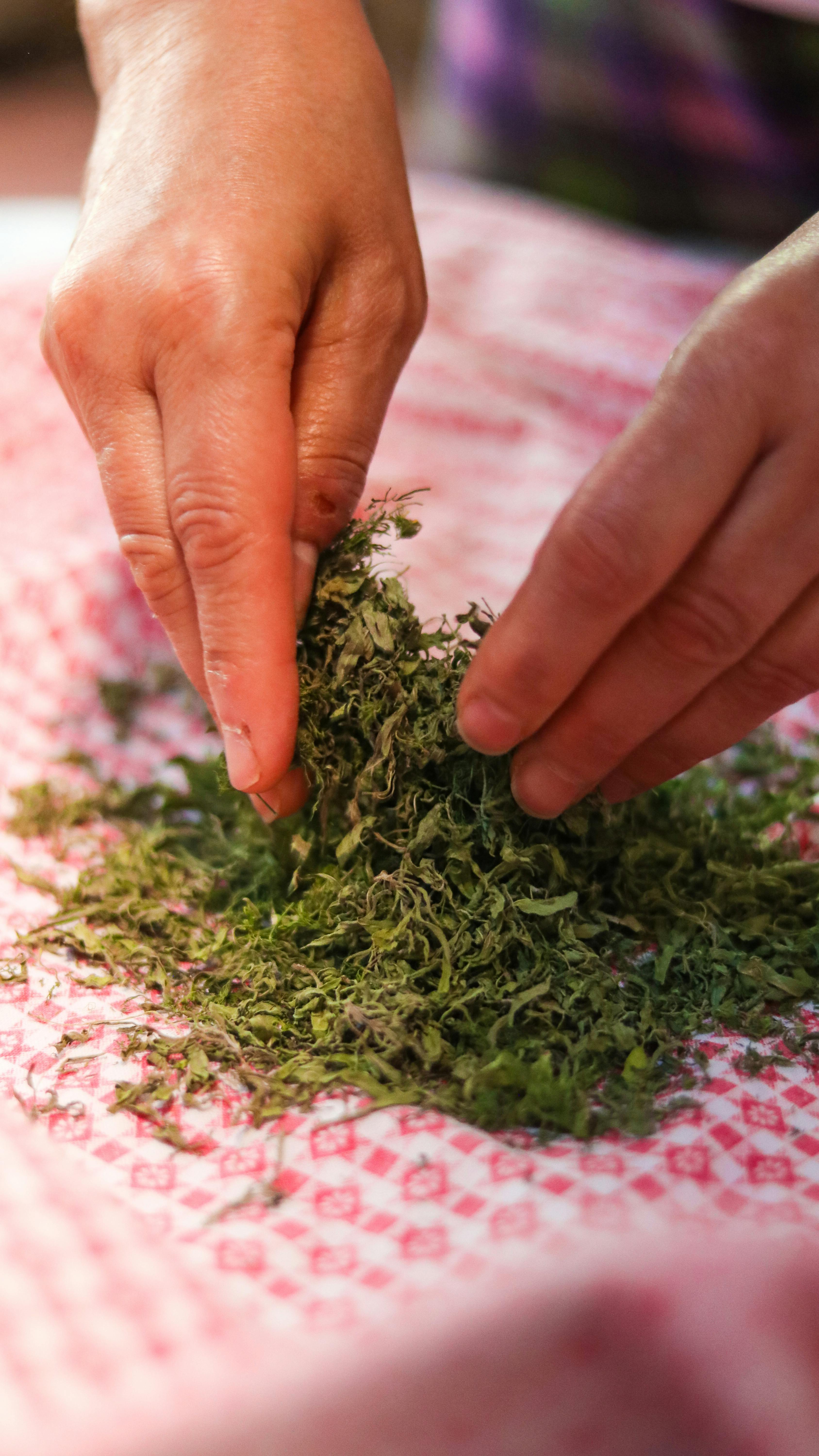 Close-up of Hands Handling Dried Herbs on a Table · Free Stock Photo