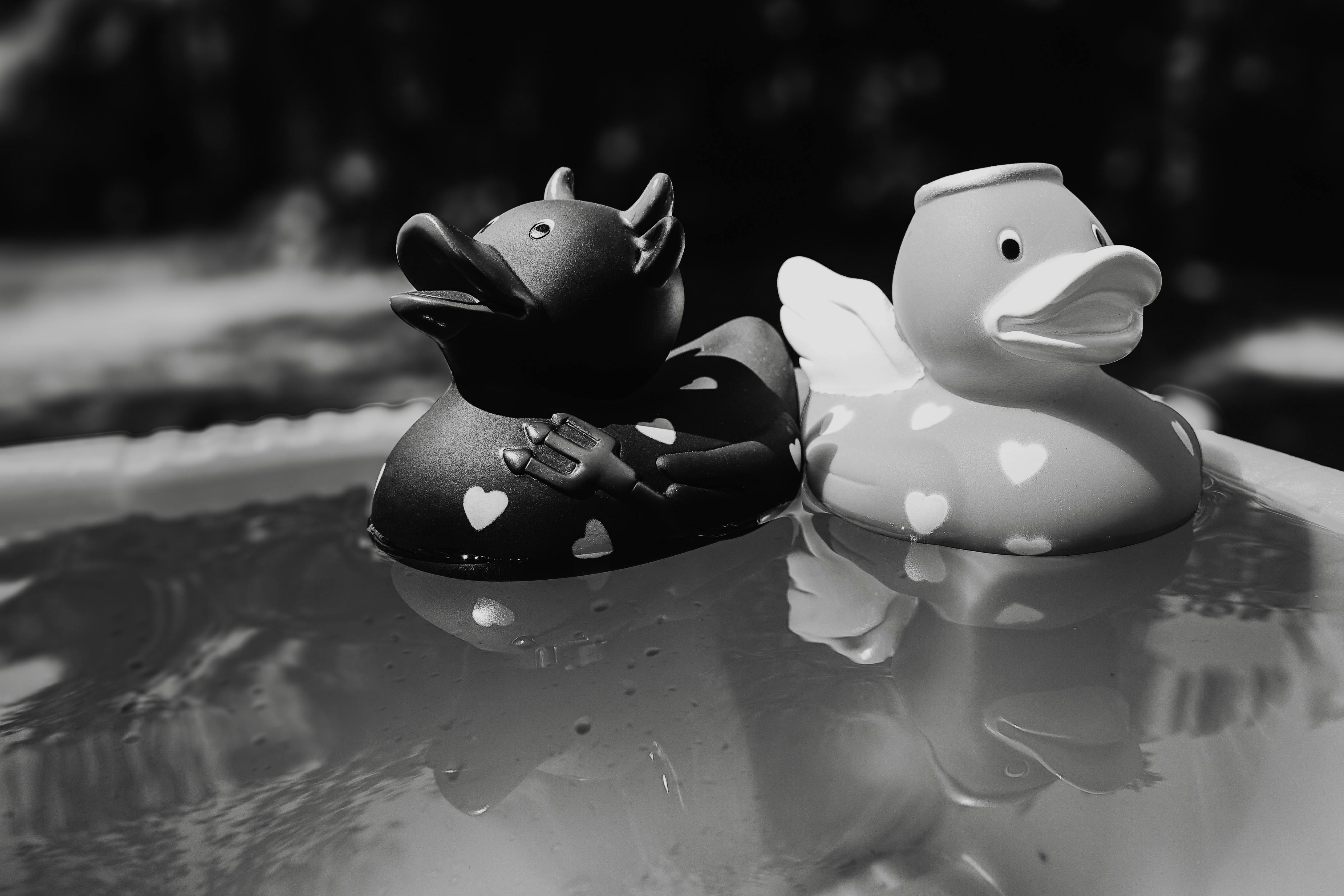 Black and White Rubber Ducks with Angel and Devil Themes · Free Stock Photo