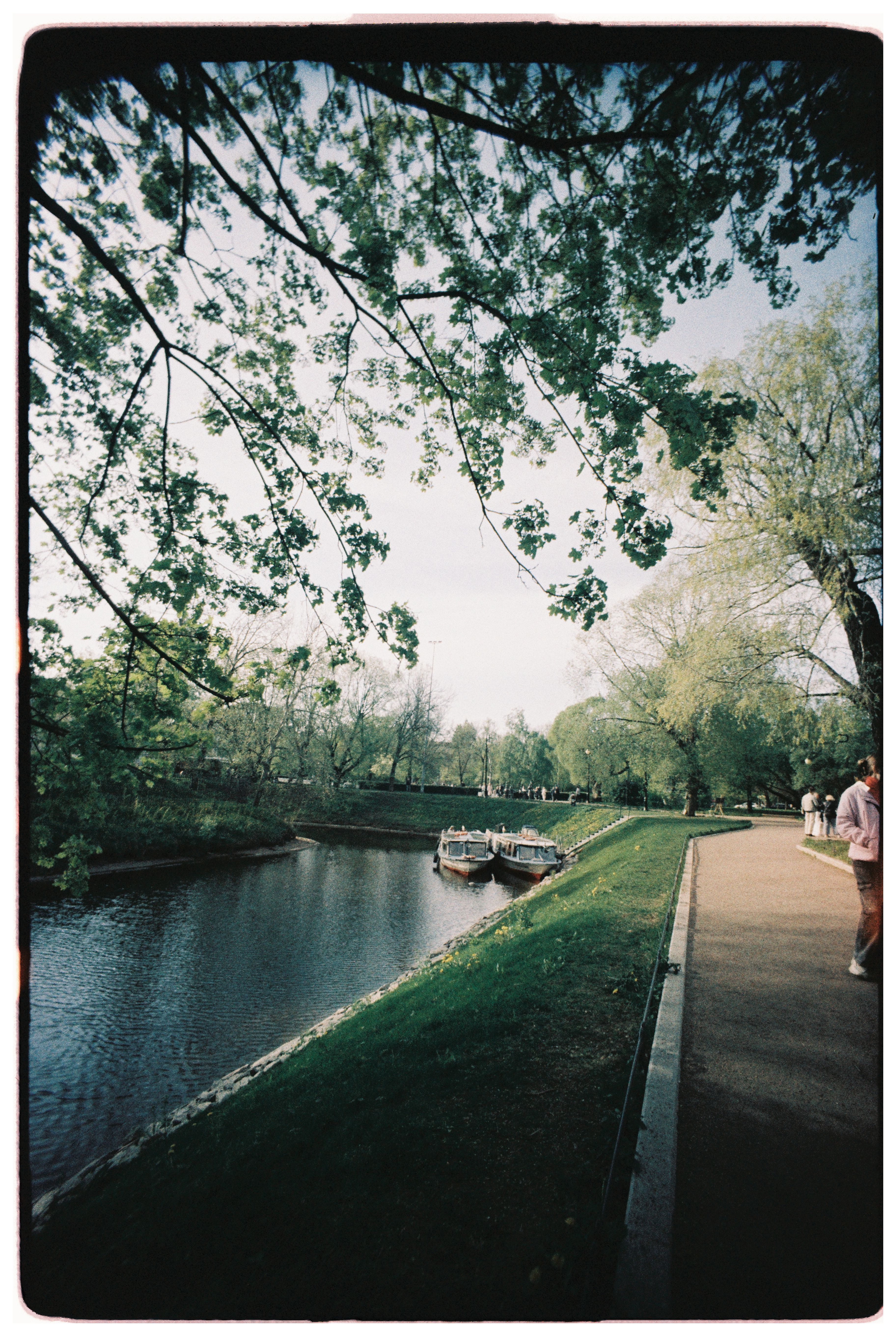Scenic Riverside Pathway with Spring Foliage · Free Stock Photo