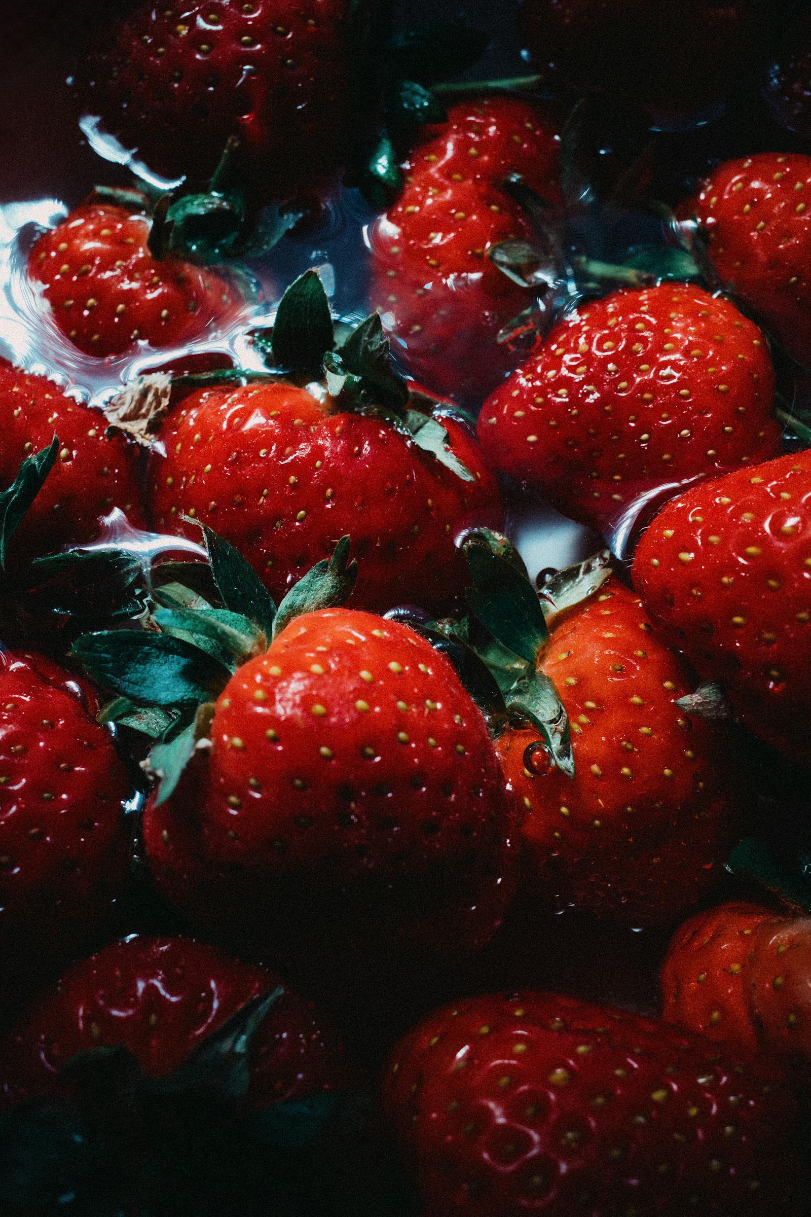 Red Pfp Photos, Download The BEST Free Red Pfp Stock Photos & HD Images