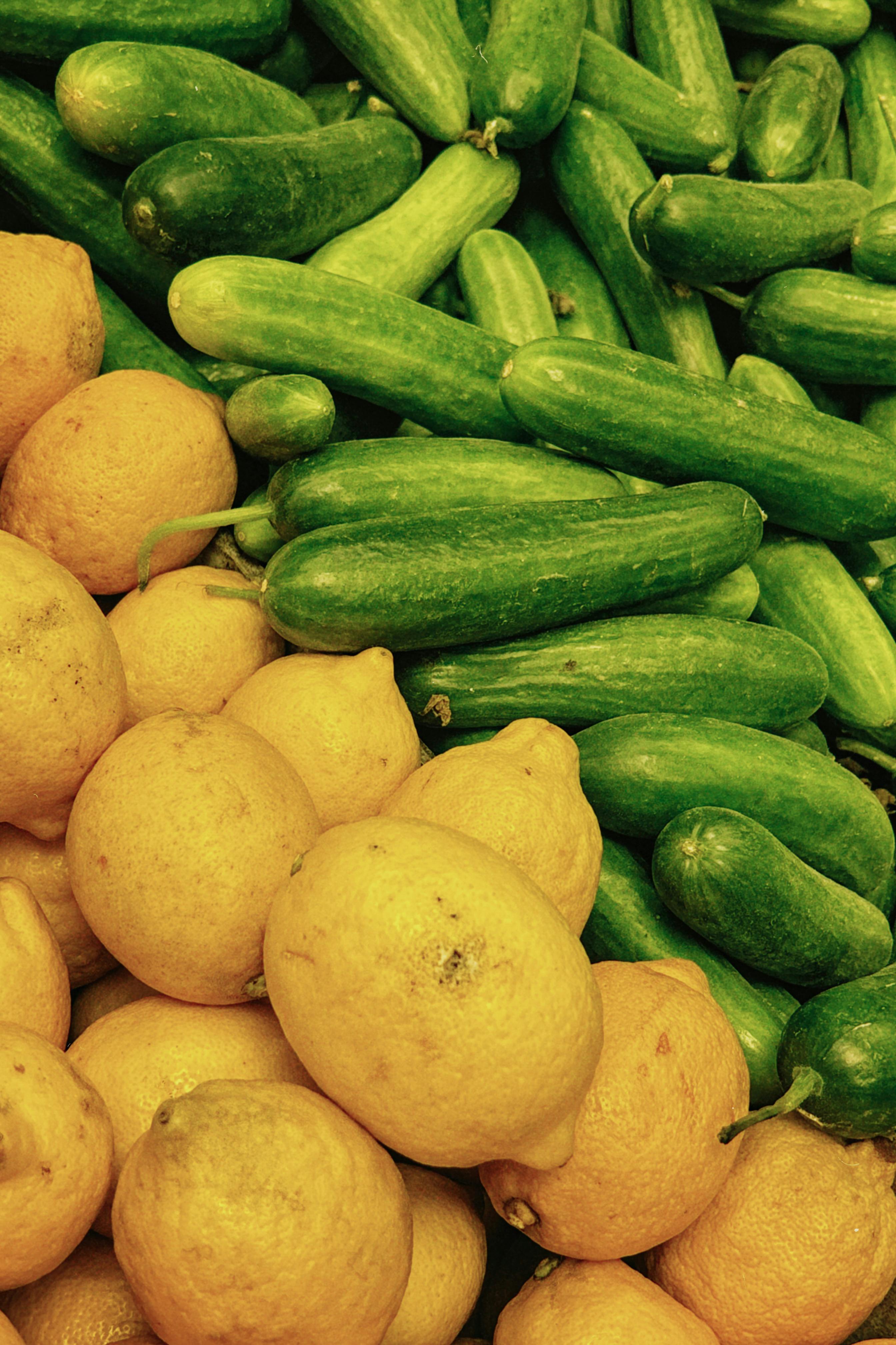 Refreshing Photos, Download The BEST Free Refreshing Stock Photos & HD ...