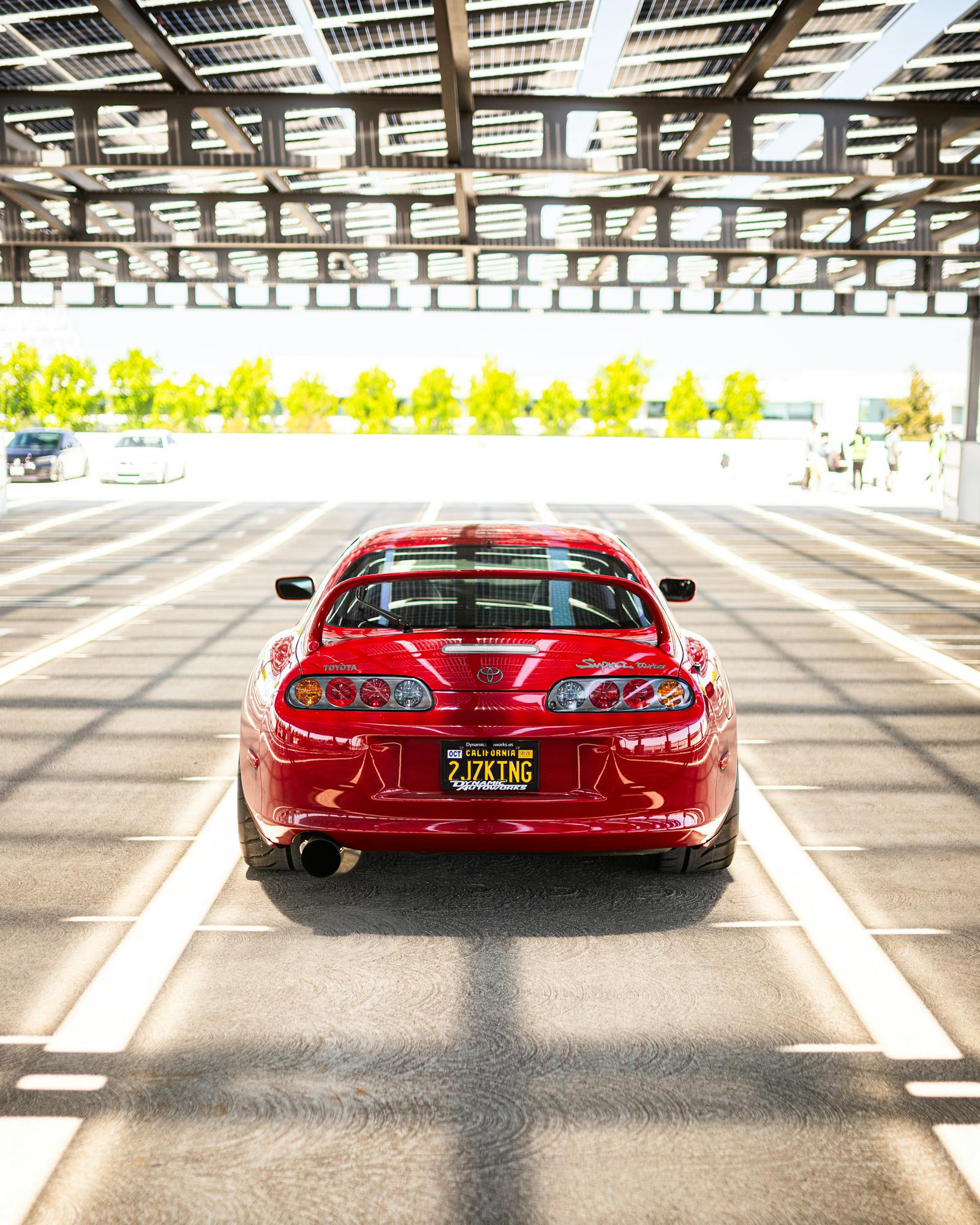 Red Pfp Photos, Download The BEST Free Red Pfp Stock Photos & HD Images