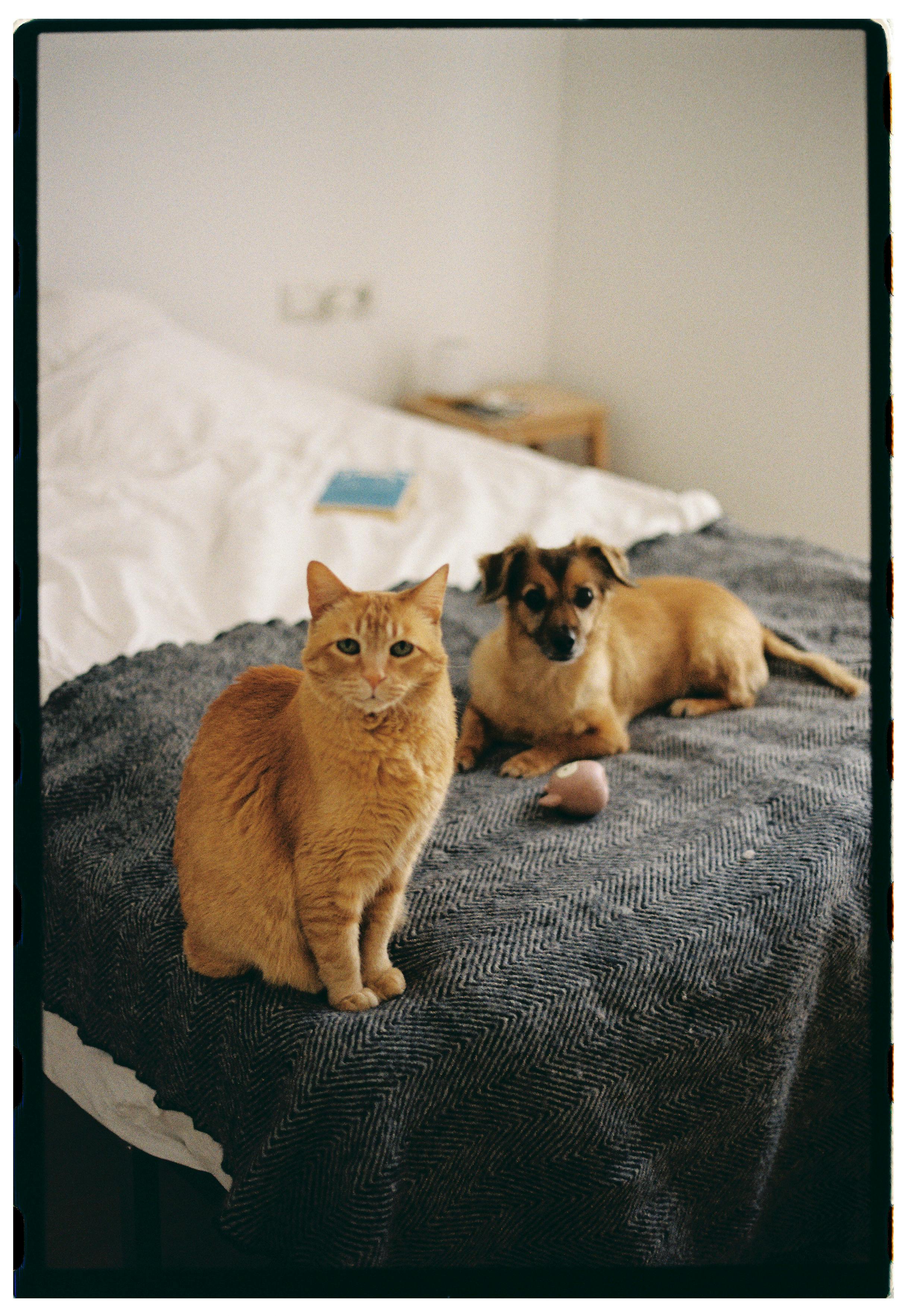 Comfy Photos, Download The BEST Free Comfy Stock Photos & HD Images