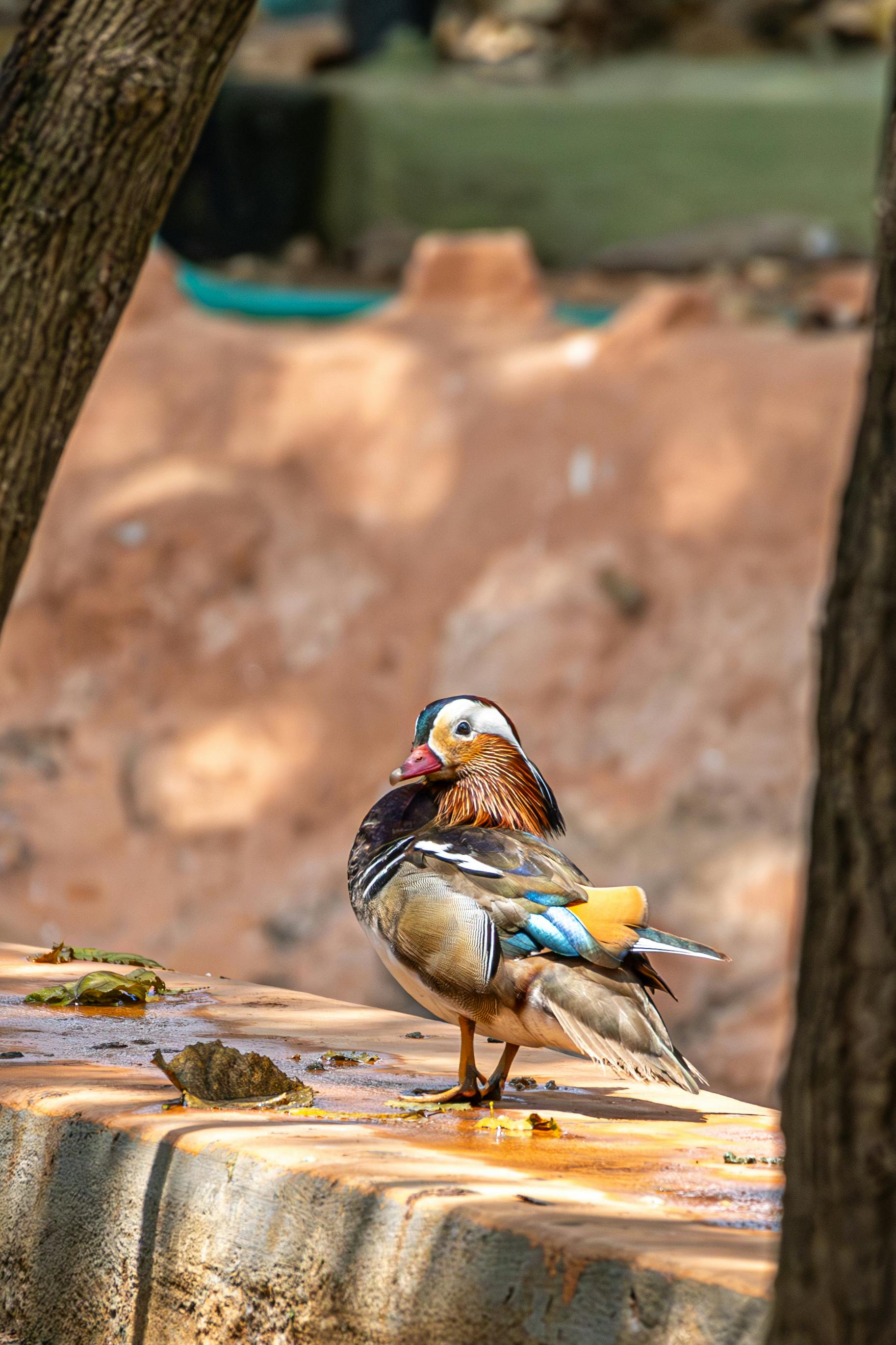 Le 900+ migliori foto di Bing+aix+imx+imx+imx+imx+imx+imx+imx+imx+im ...