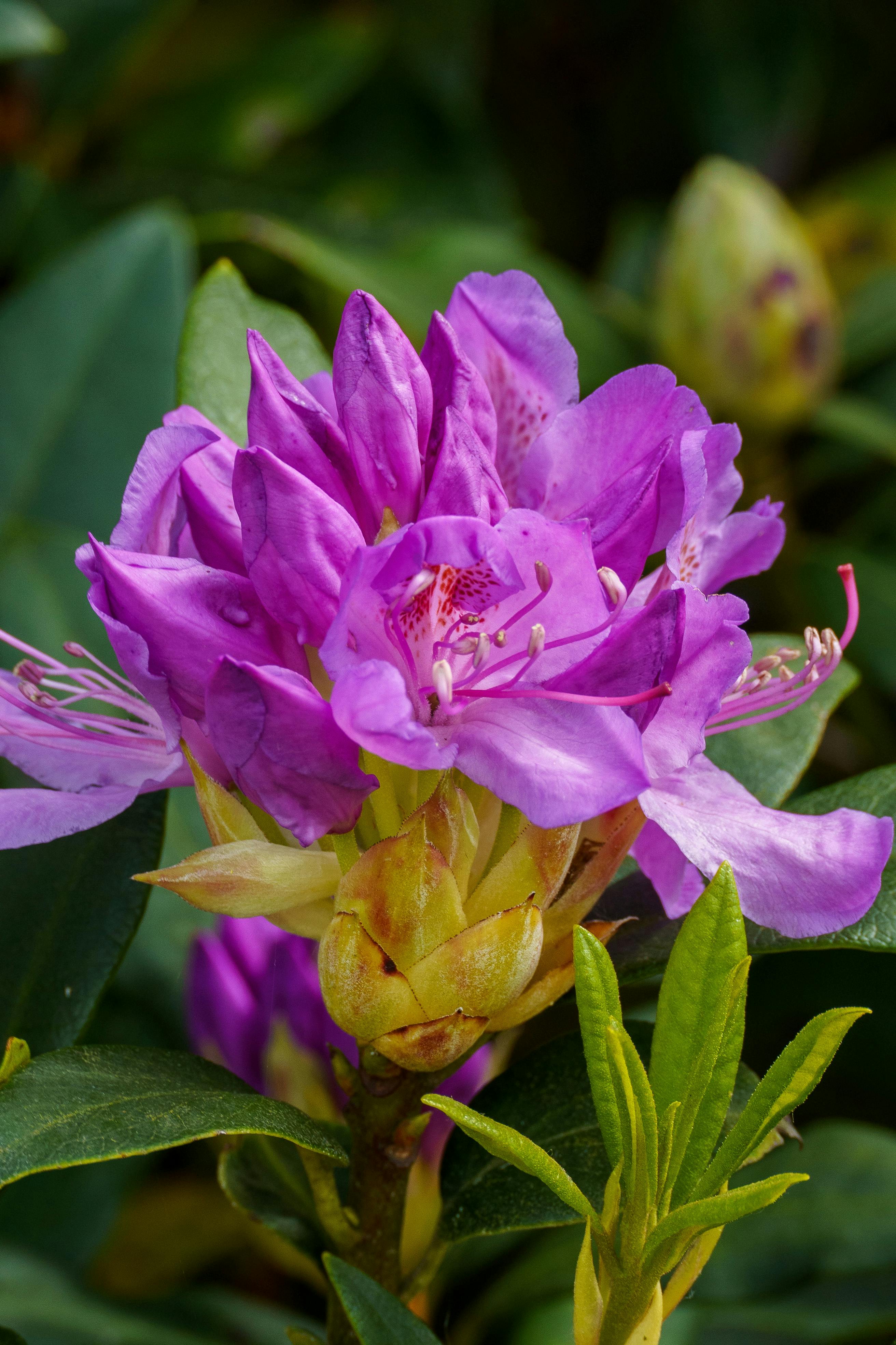 Fancy Librarian Photos, Download The BEST Free Fancy Librarian Stock ...