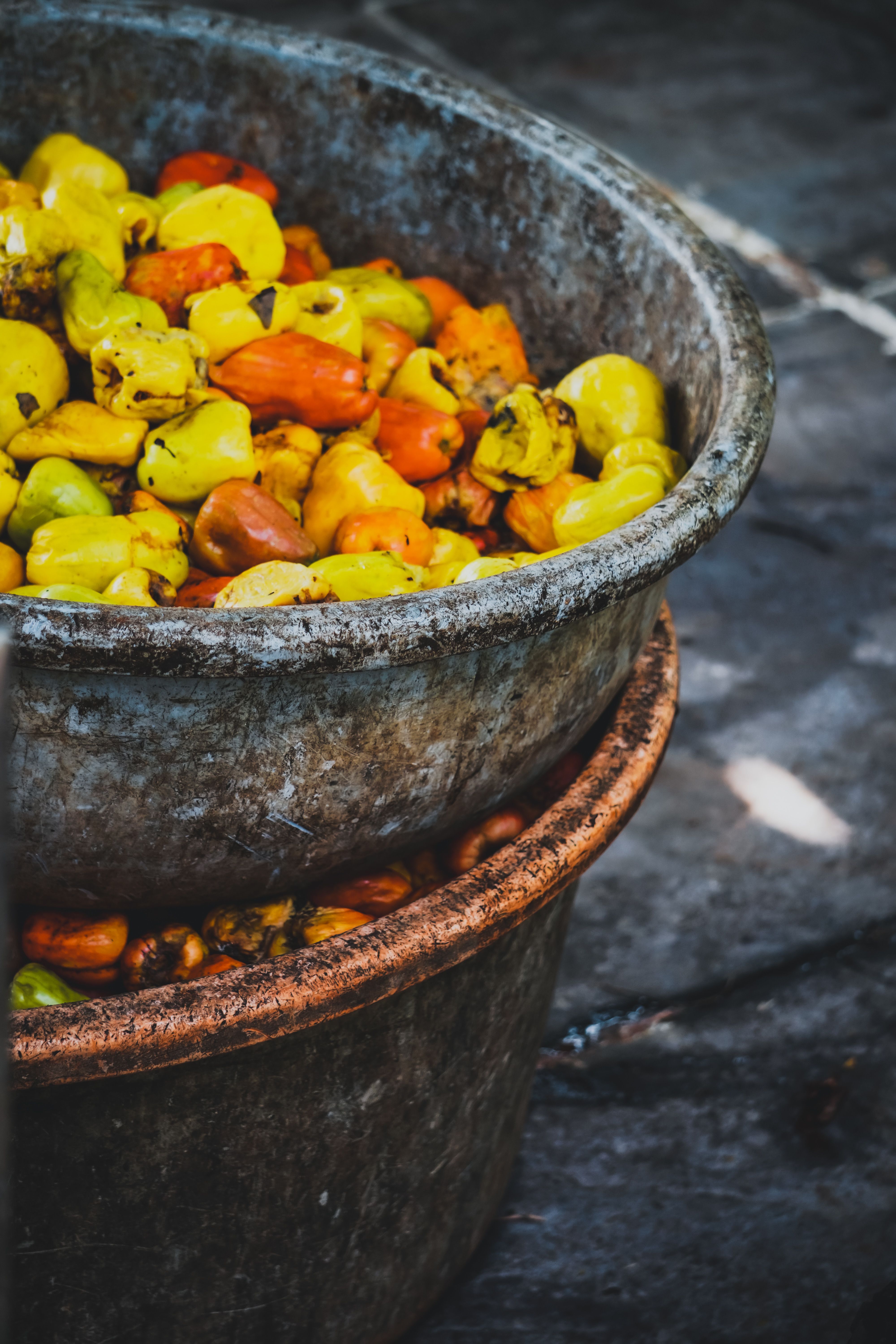 Foto de stock gratuita sobre agricultura, al aire libre, alimentación ...