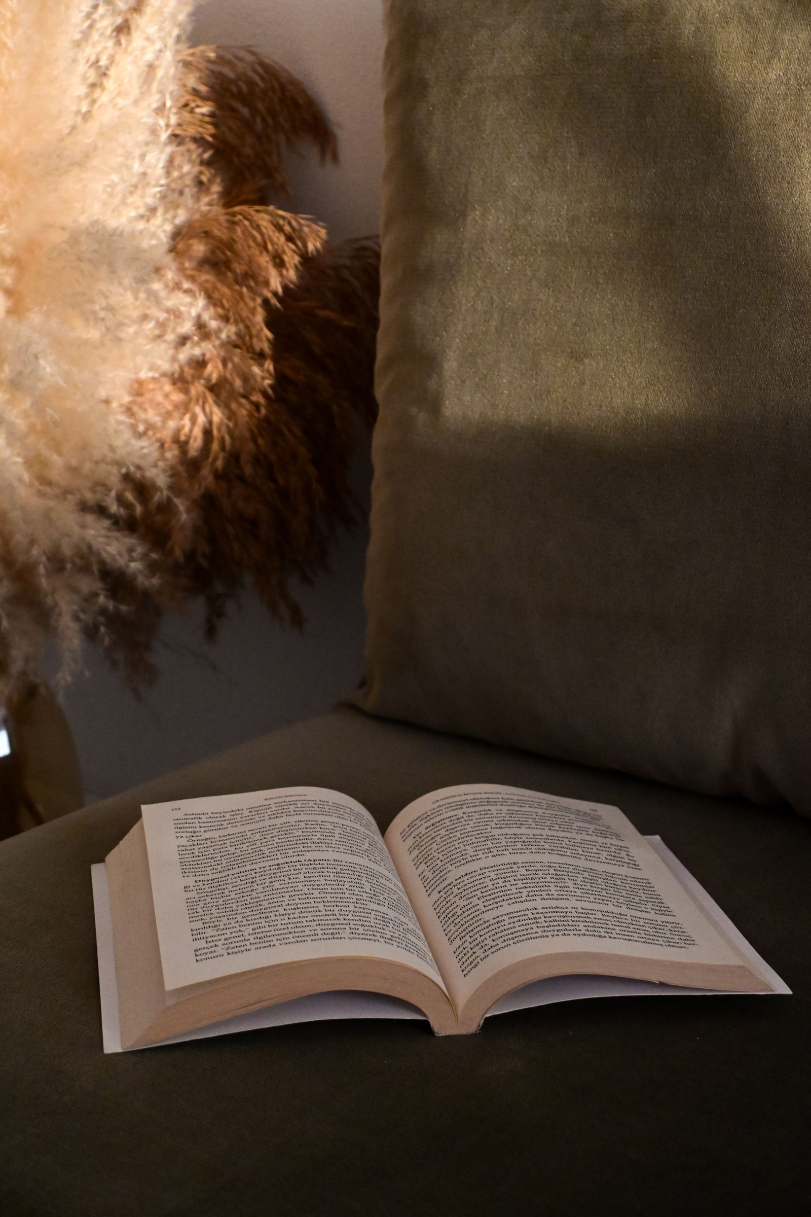 Book Aesthetic Photos, Download The BEST Free Book Aesthetic Stock ...