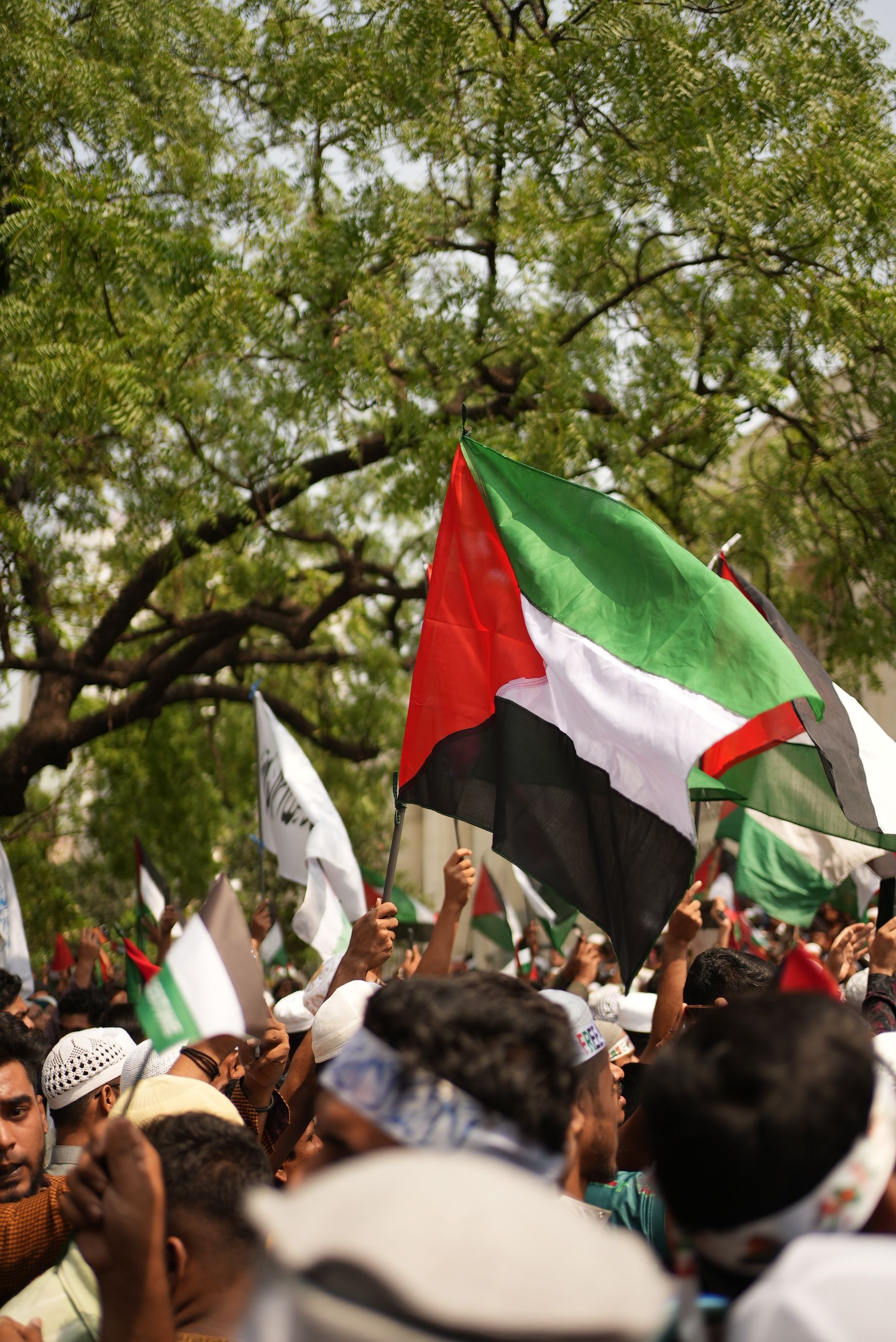 Political Photos, Download The BEST Free Political Stock Photos & HD Images