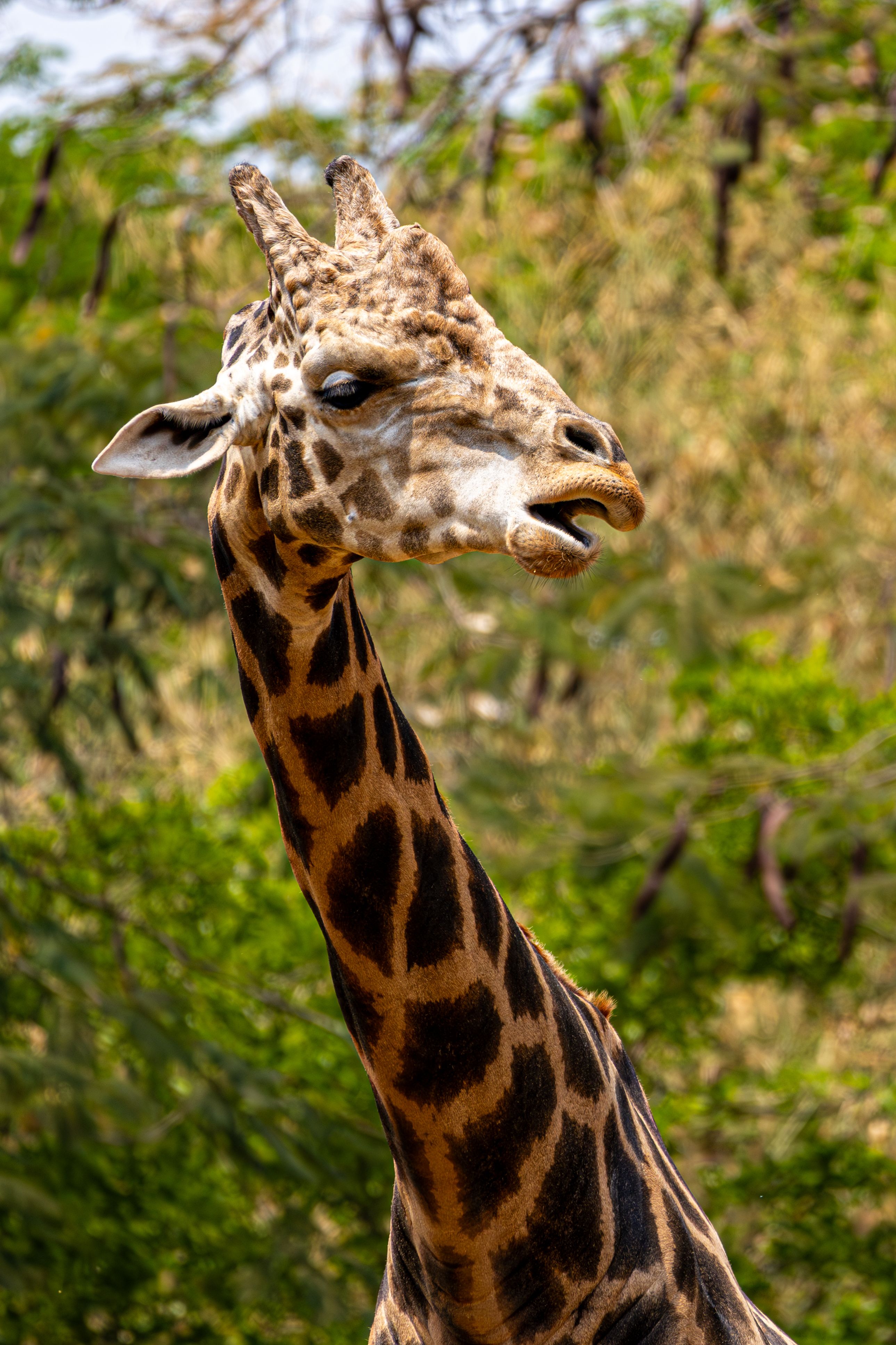 Long Squach Photos, Download The BEST Free Long Squach Stock Photos ...