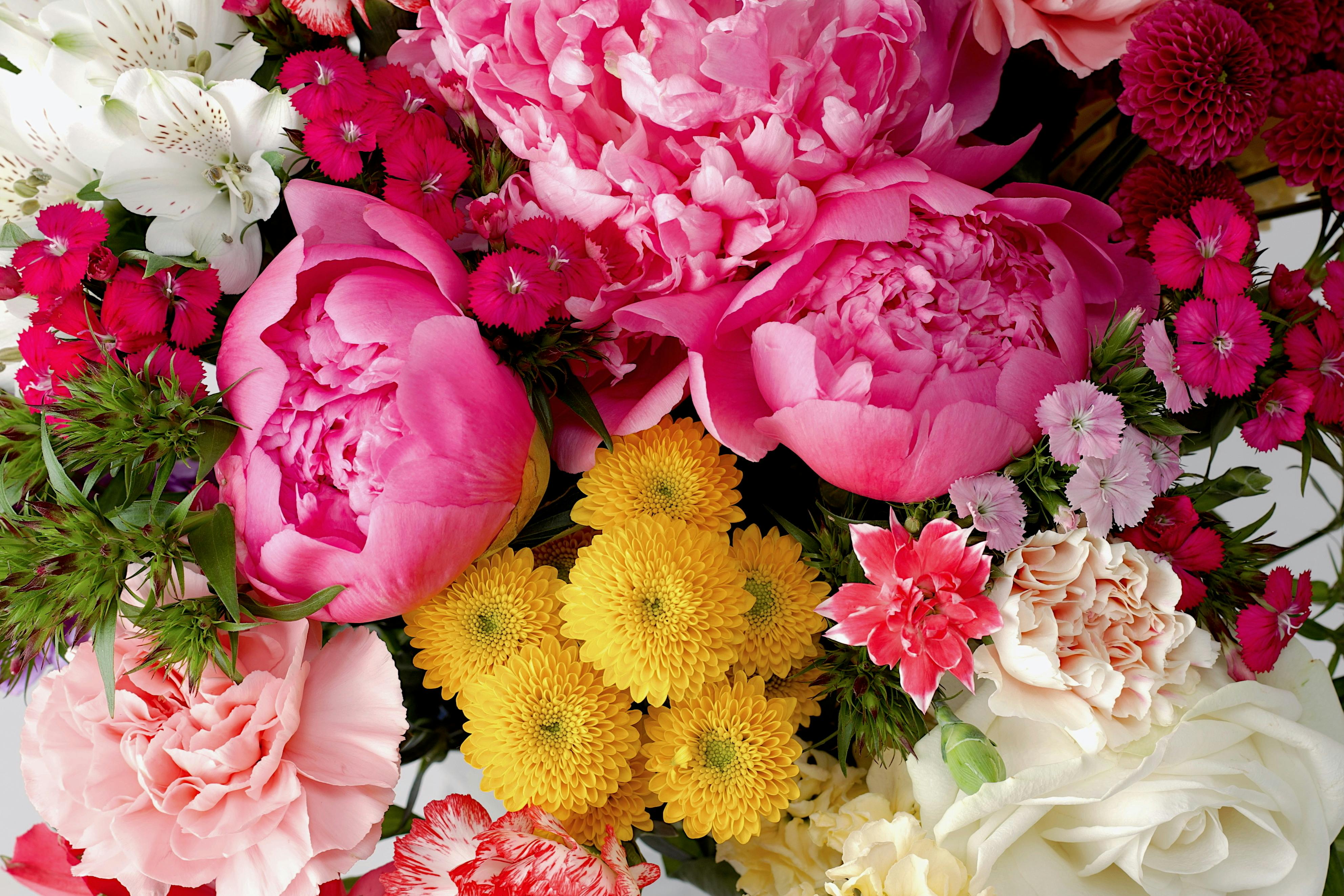 Gift Rapping Photos, Download The BEST Free Gift Rapping Stock Photos ...