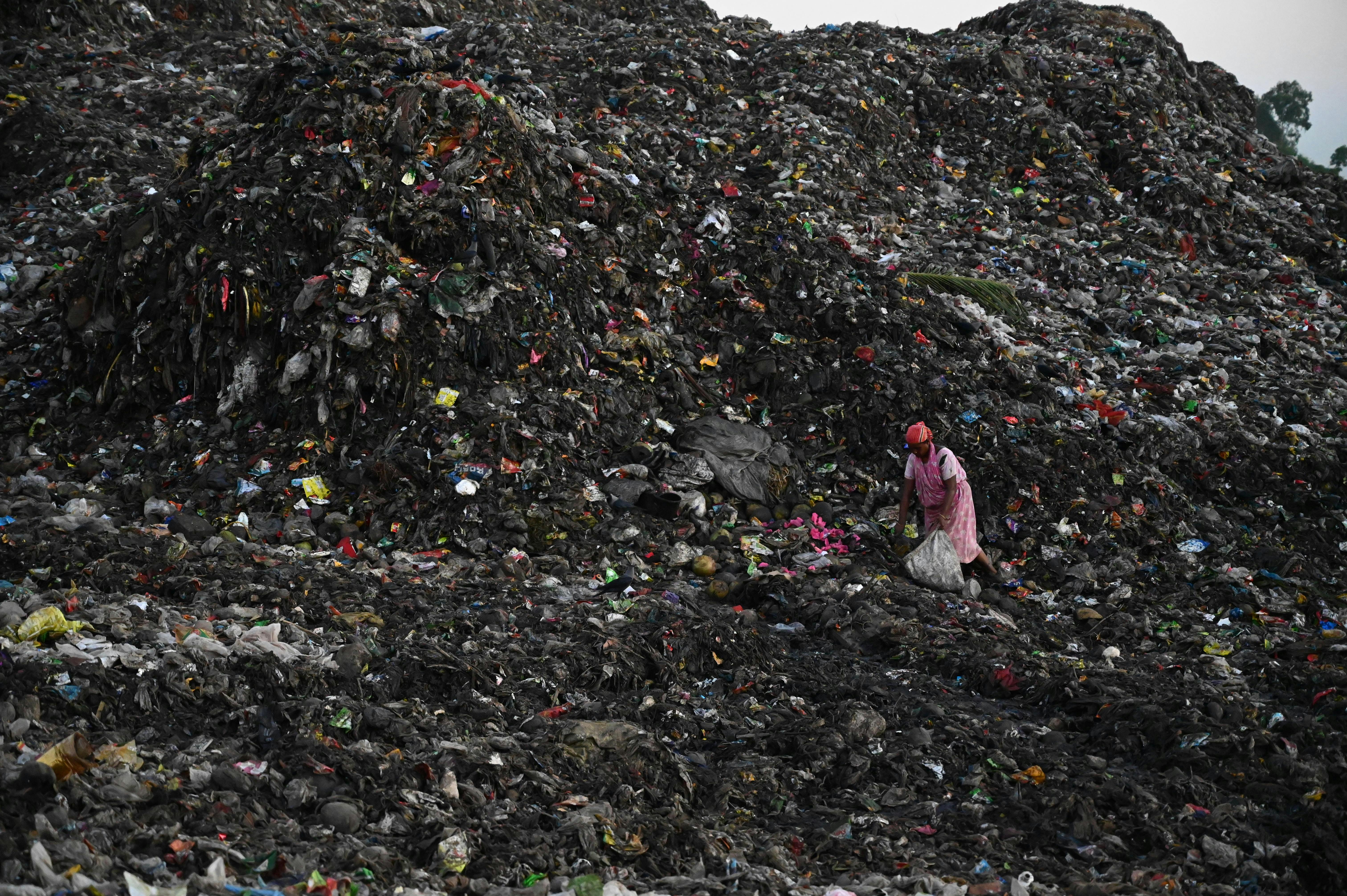 Photo of Person Collecting Trash on Landfill · Free Stock Photo