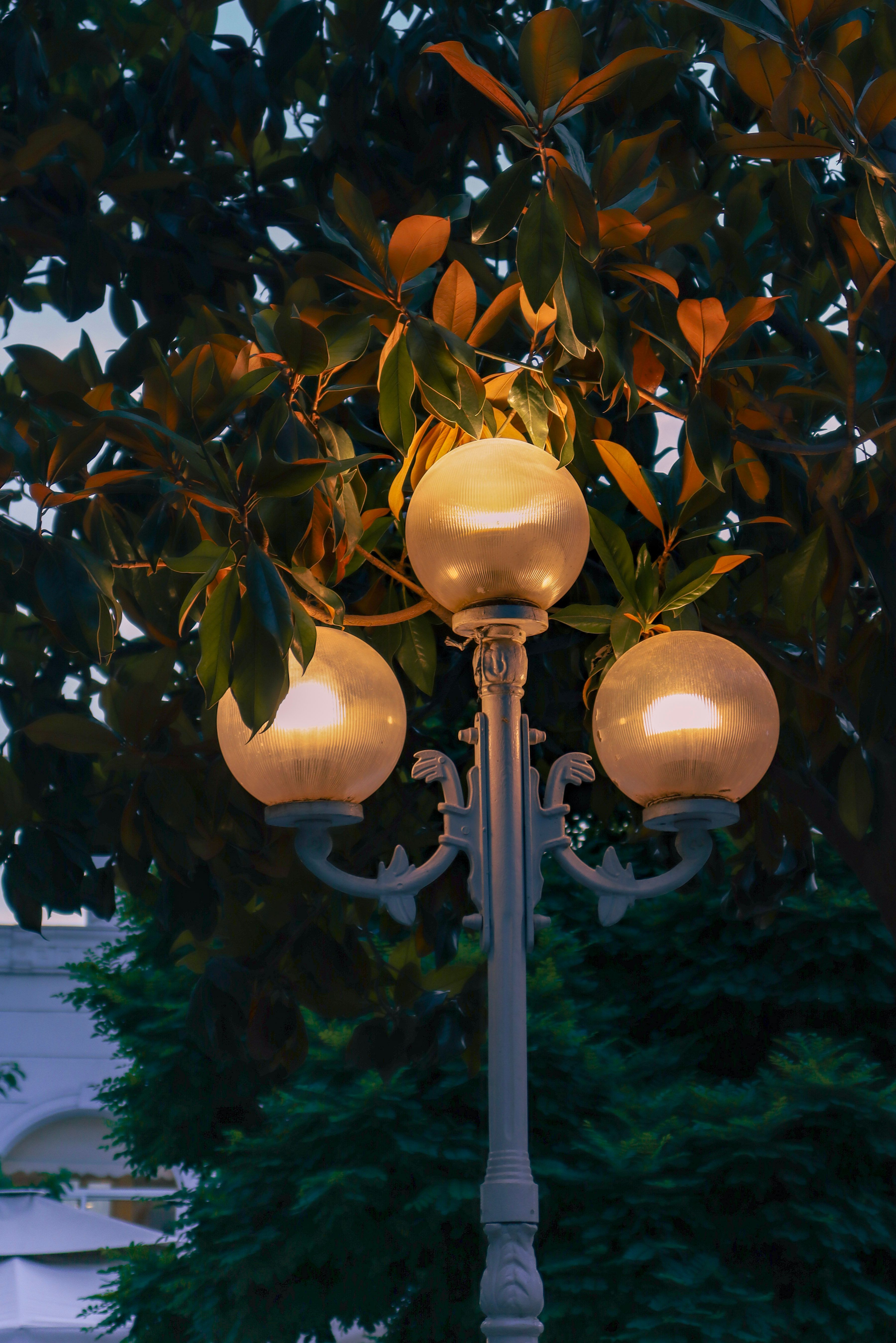 Elegant Street Lamp Illuminated at Night · Free Stock Photo