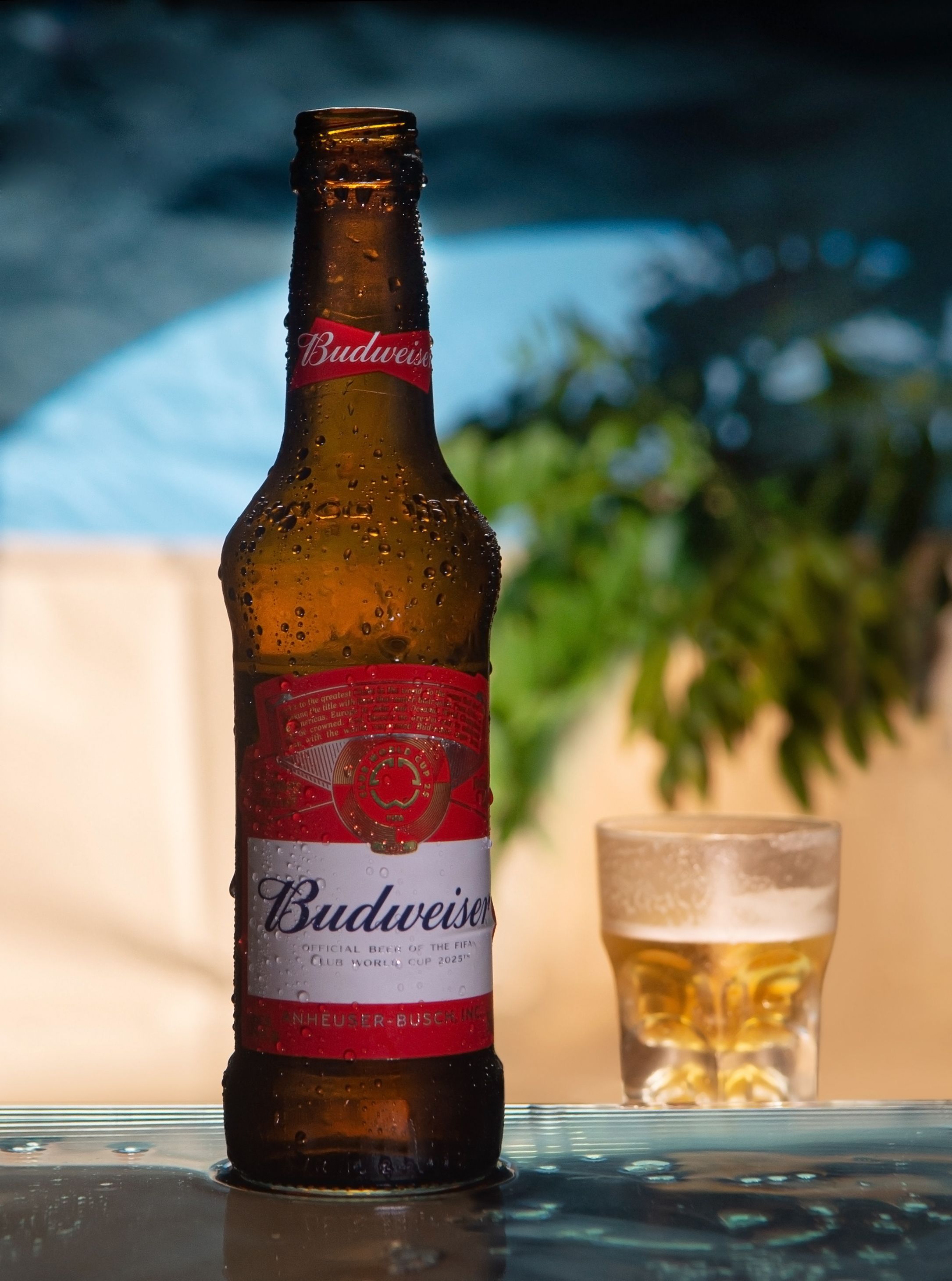 Botella De Cerveza Budweiser Fría En Un Ambiente Veraniego · Foto de ...