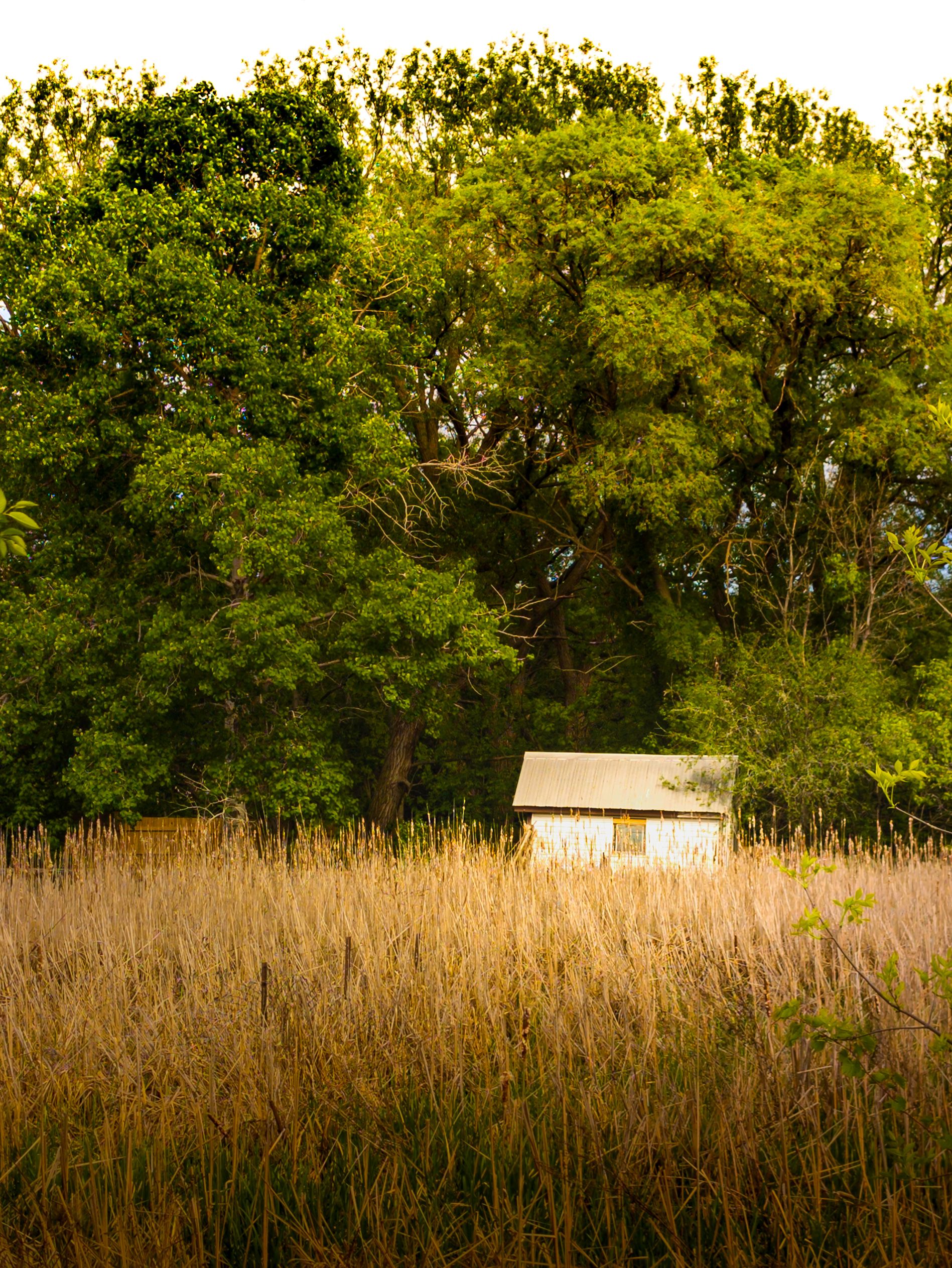 Scenic Rustic Cabin in Lush Forest Meadow · Free Stock Photo