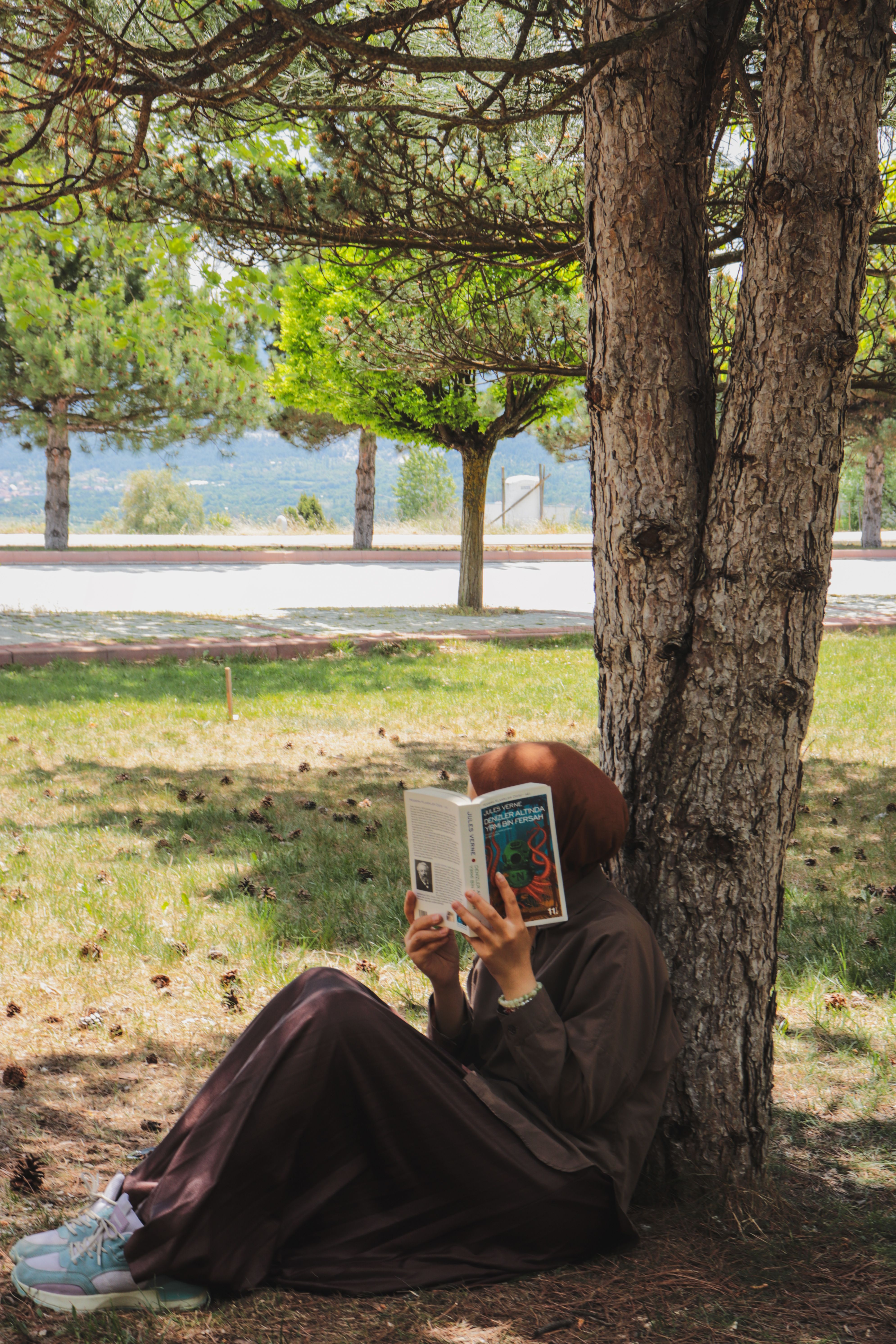Woman Reading Under Tree in Sunny Park · Free Stock Photo