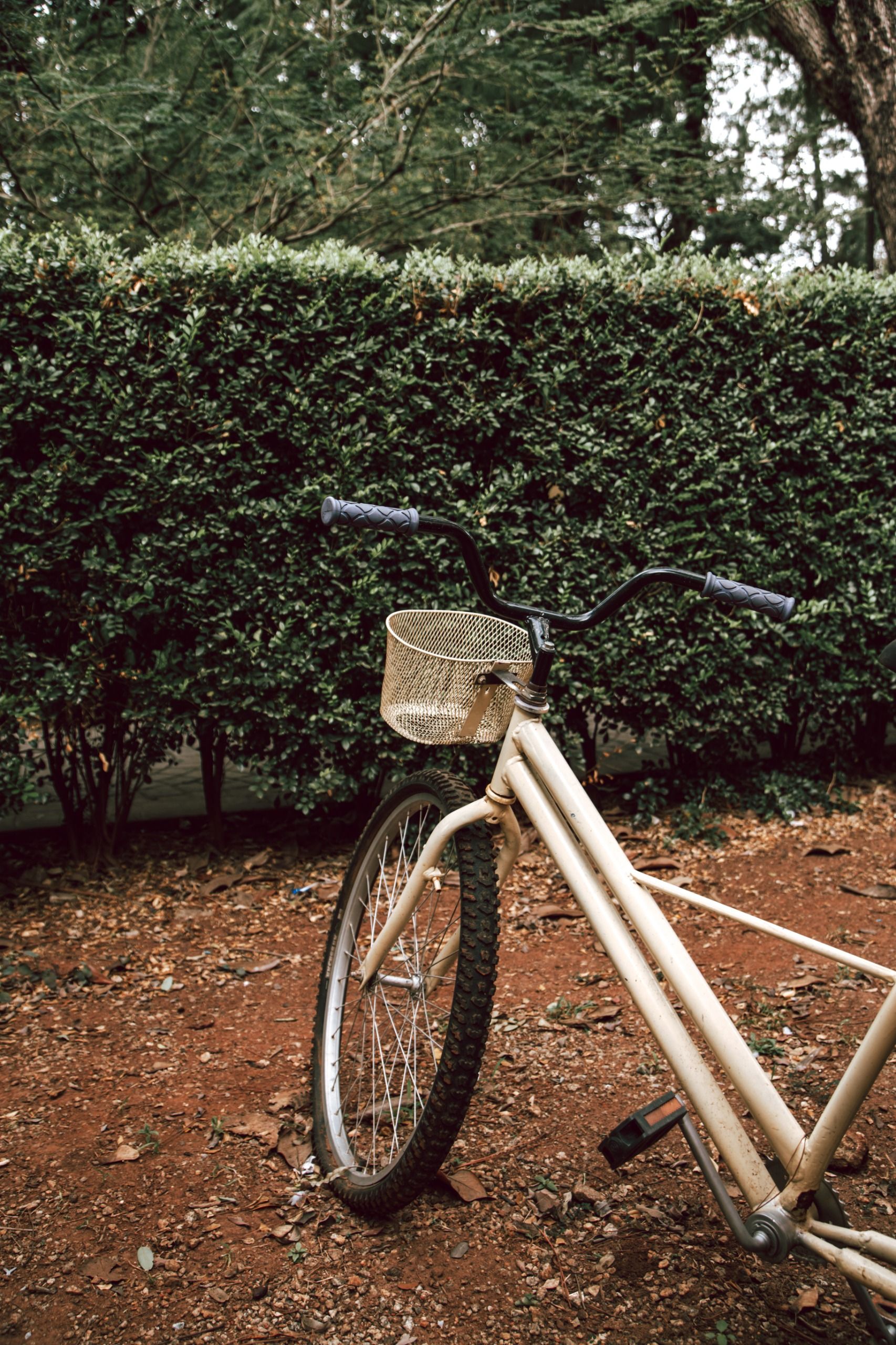 Country Life Photos, Download The BEST Free Country Life Stock Photos ...
