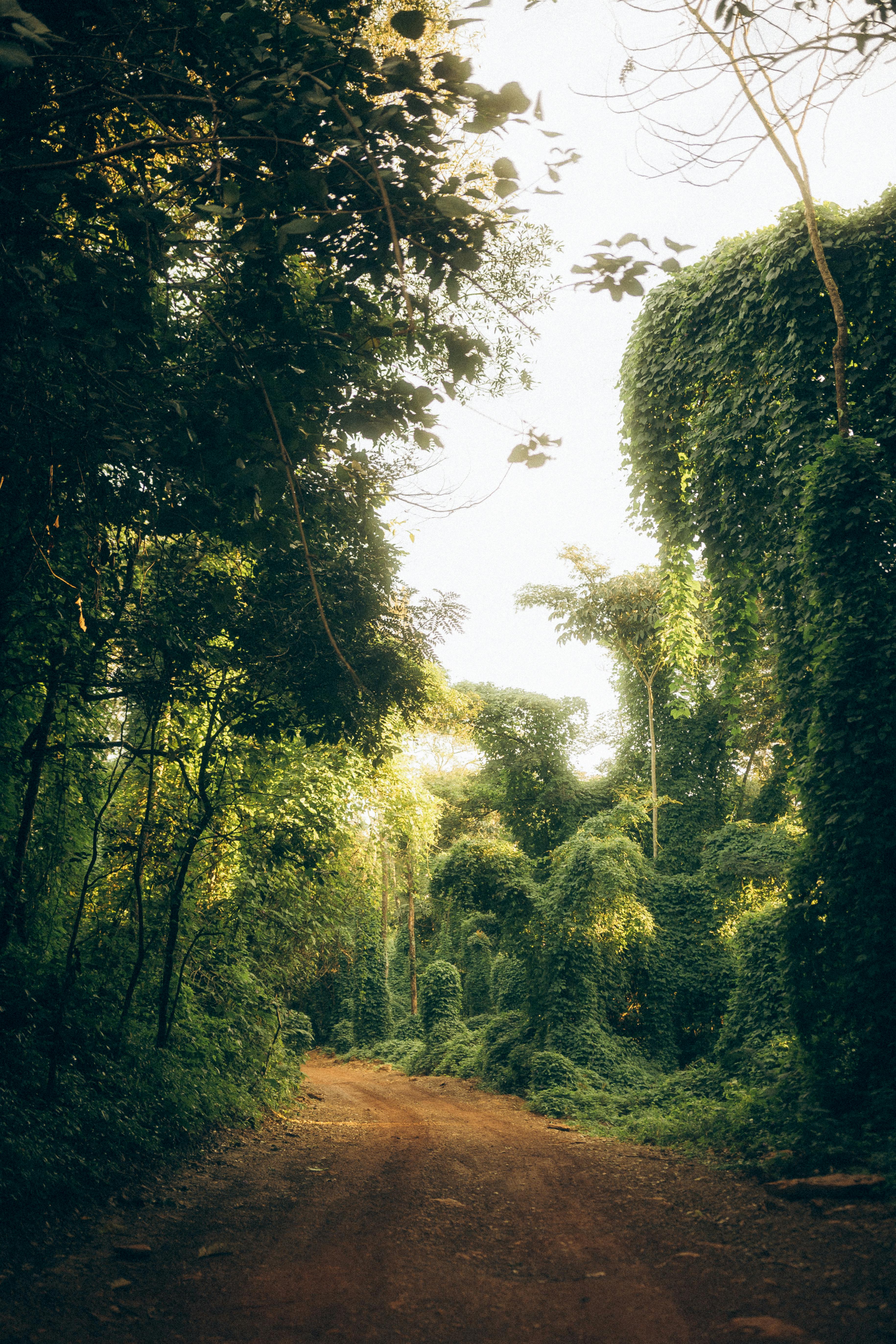 Alan Henrique – Fotografia