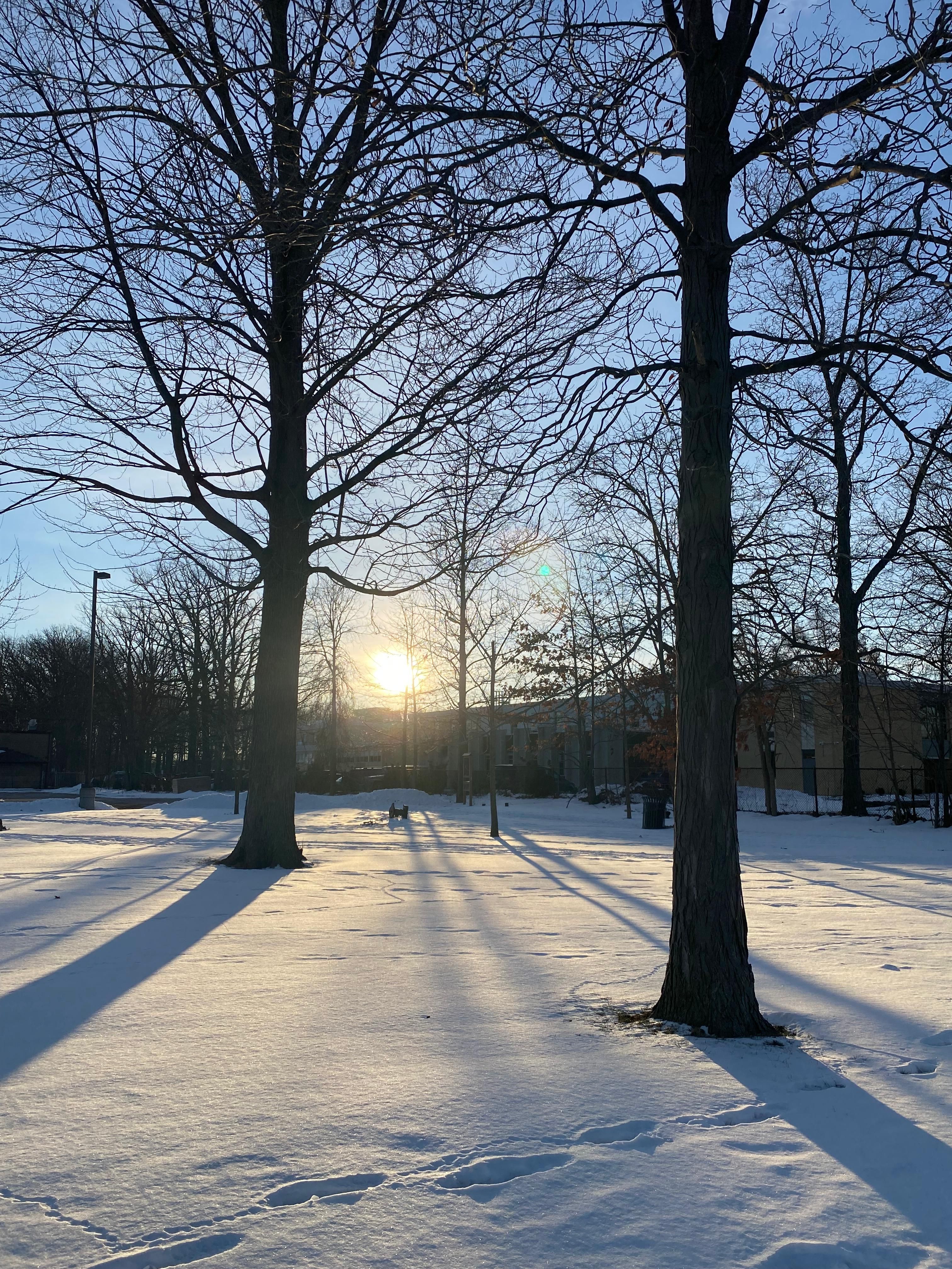 Chilly Winter Morning with Shadows on Snow · Free Stock Photo