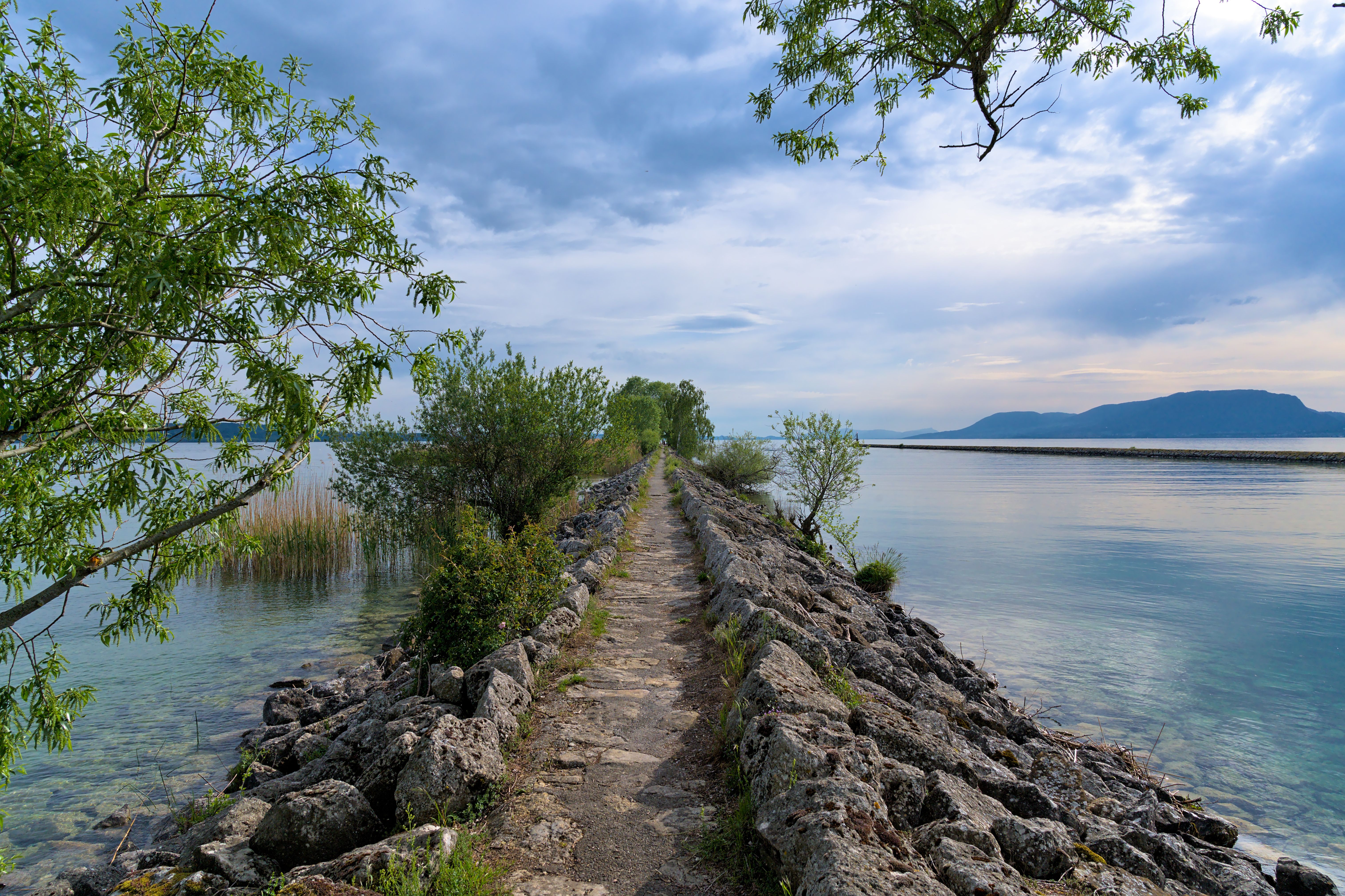 Scenic Pathway Along Lake Neuchâtel Switzerland · Free Stock Photo