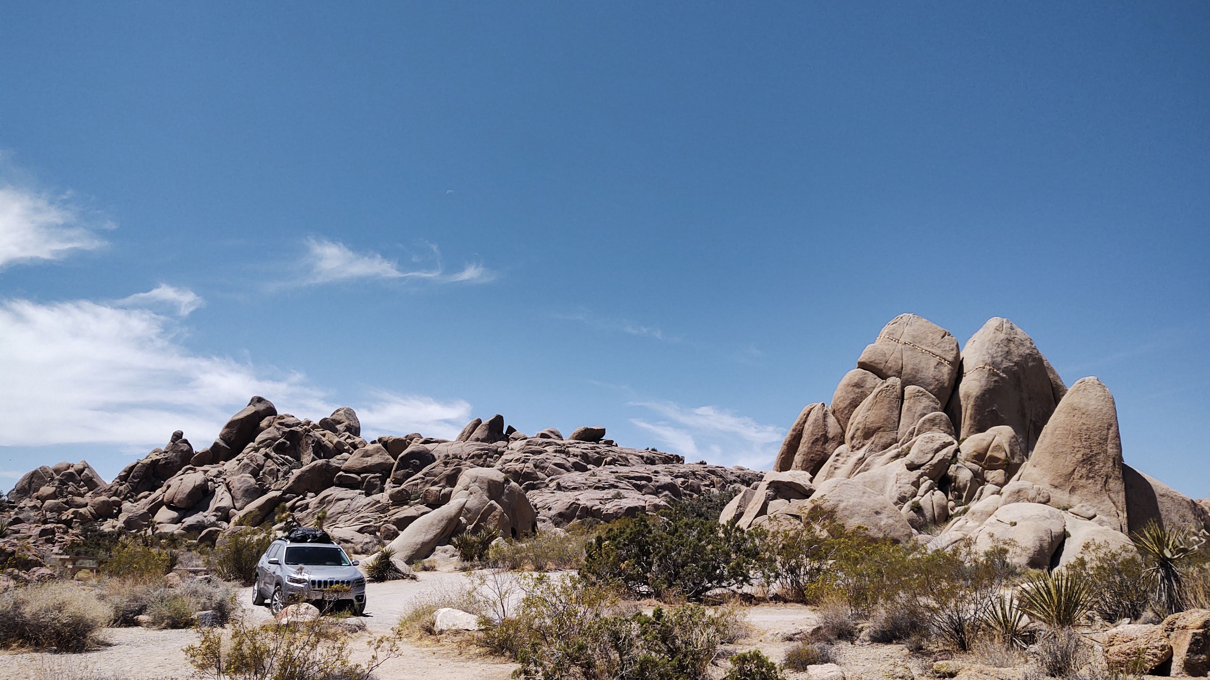 SUV in Joshua Tree National Park Landscape · Free Stock Photo