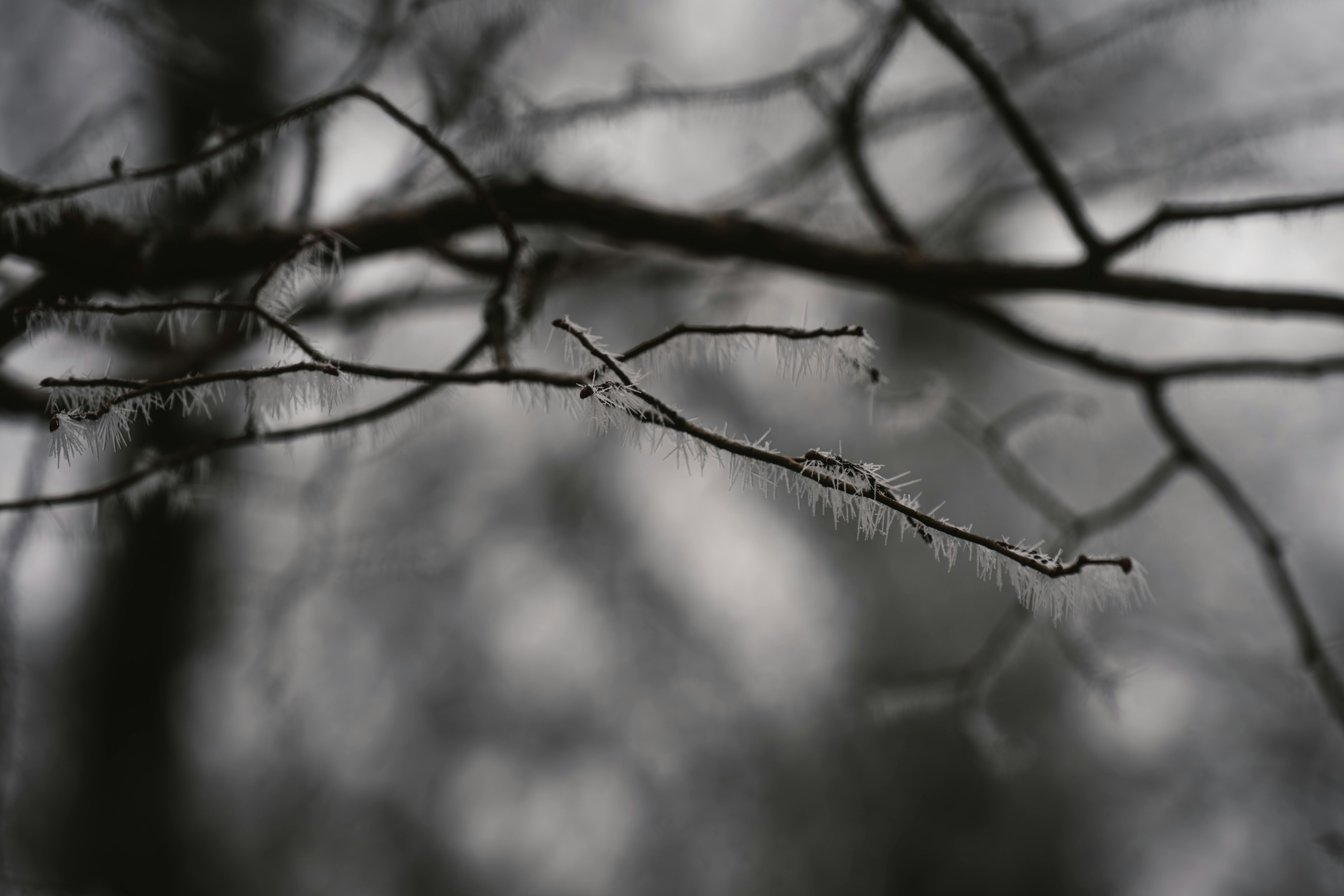 Nothing Dark Wallpaper Photos, Download The BEST Free Nothing Dark ...