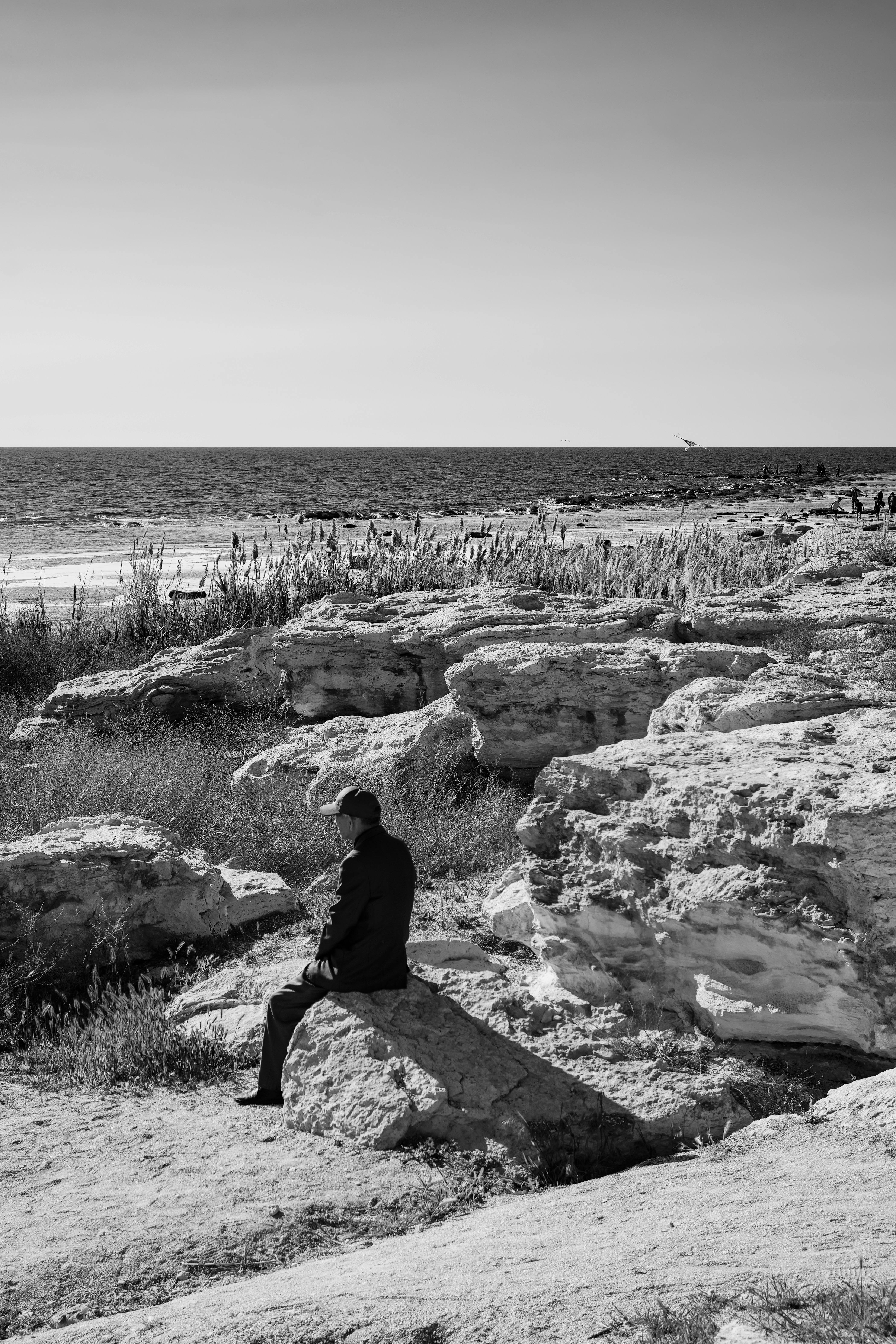 Bsu+Girls+Dbree Photos, Download The BEST Free Bsu+Girls+Dbree Stock ...