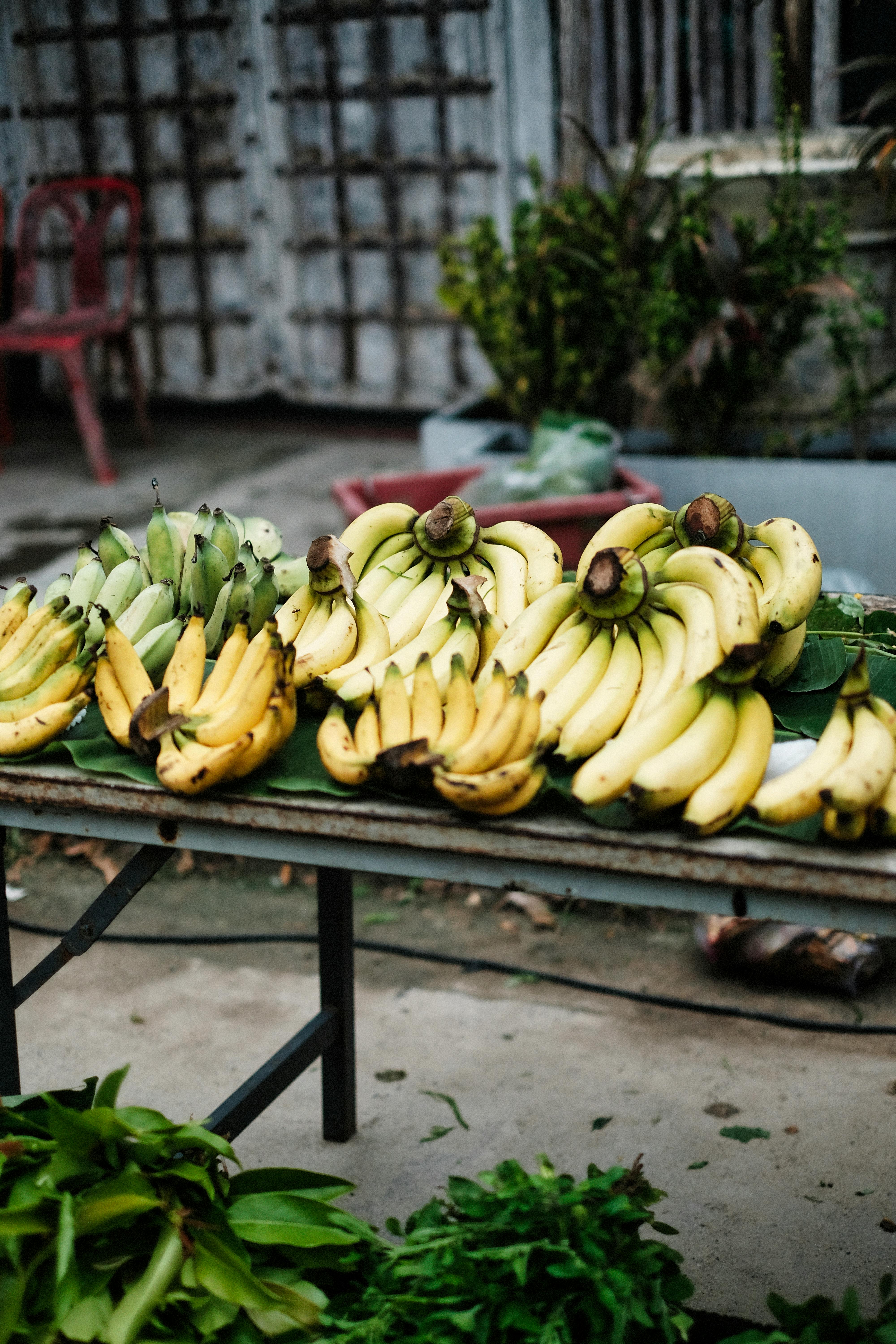 Fresh Bananas on Display at Outdoor Market · Free Stock Photo