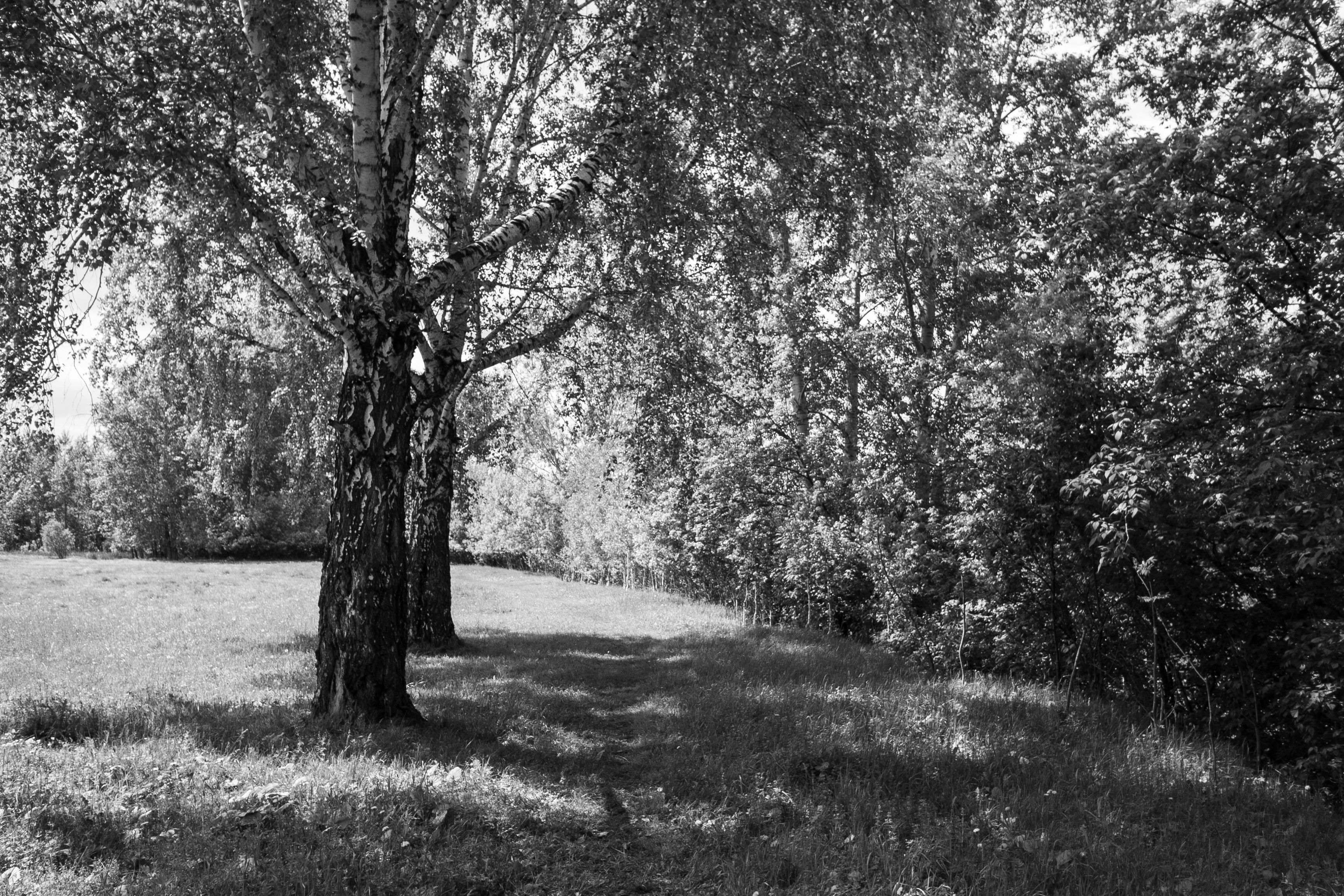May Scenery Landscape Photos, Download The BEST Free May Scenery ...