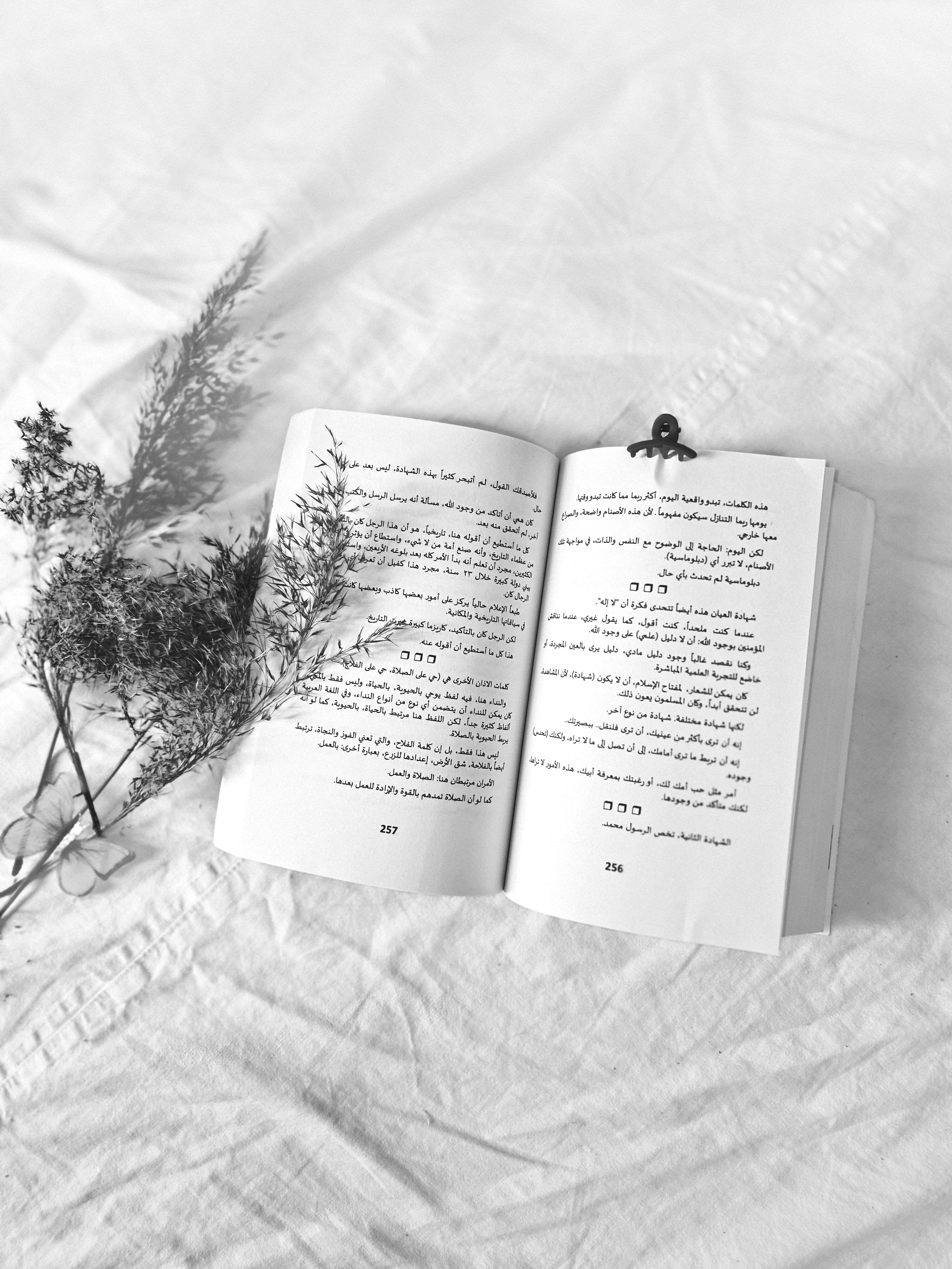 Text On Image With Peaceful Background Photos, Download The BEST Free ...