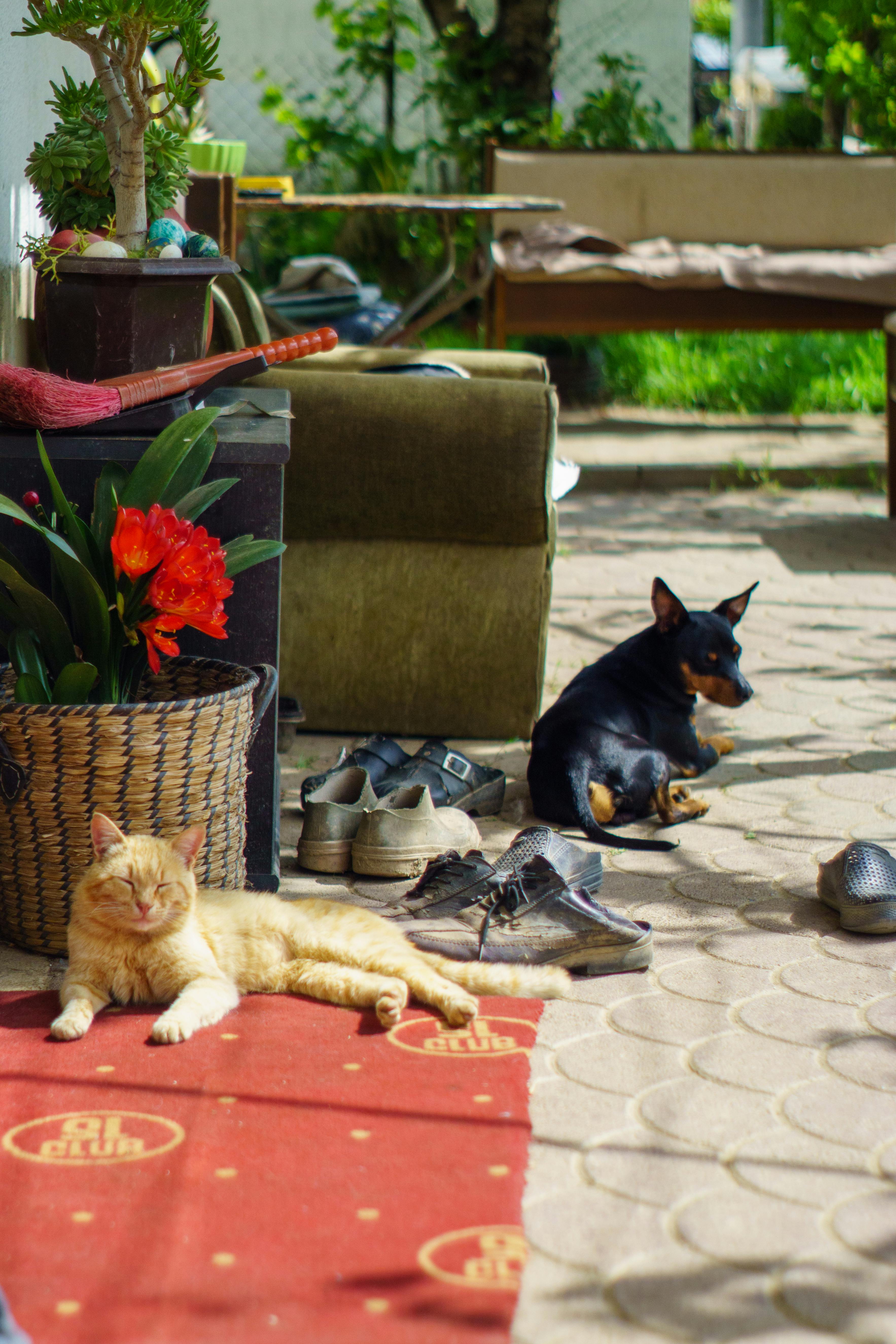 Hot+Gyatt+Girl+Images Photos, Download The BEST Free Hot+Gyatt+Girl ...