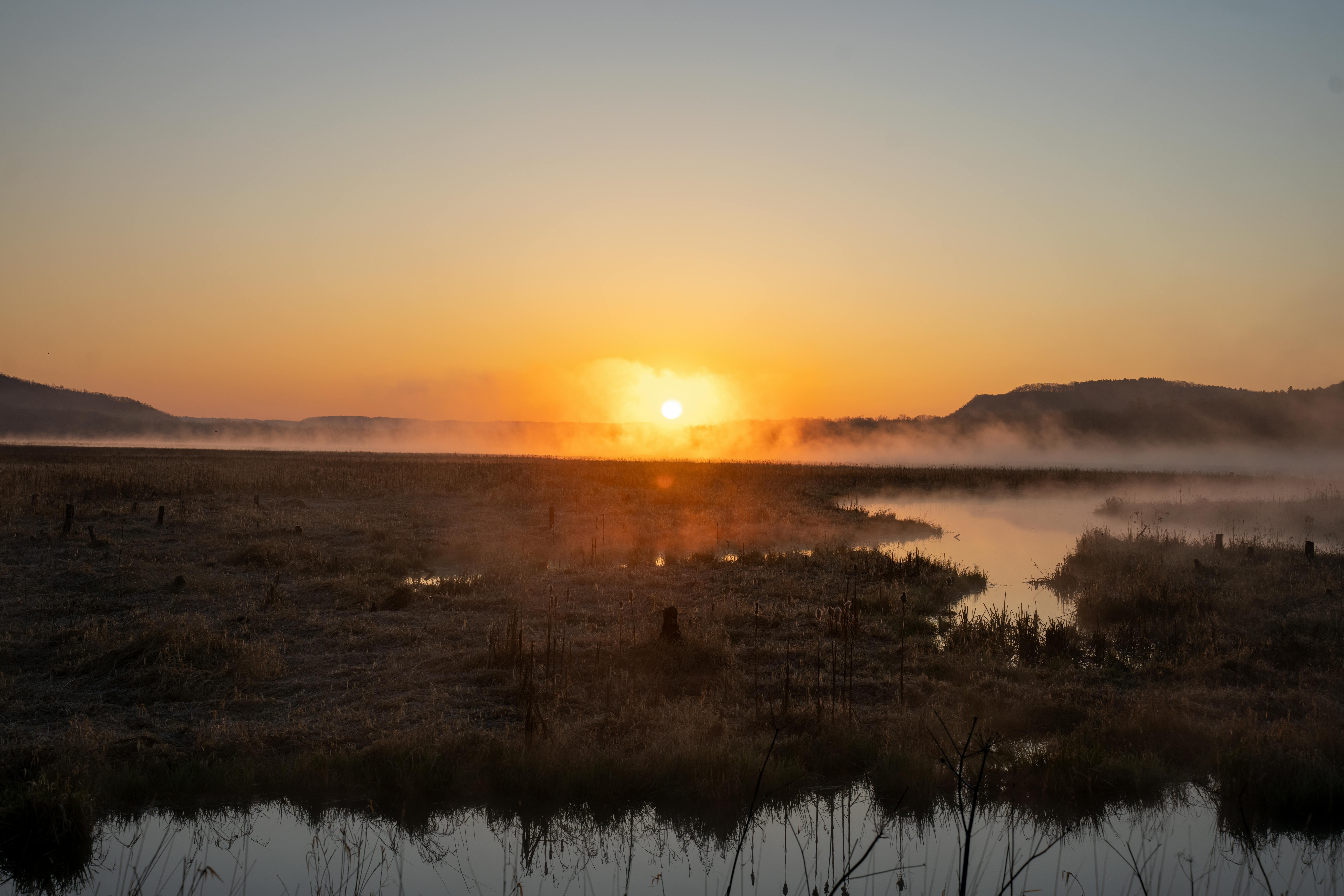 Stunning Sunrise Over Weaver, Minnesota Wetlands · Free Stock Photo