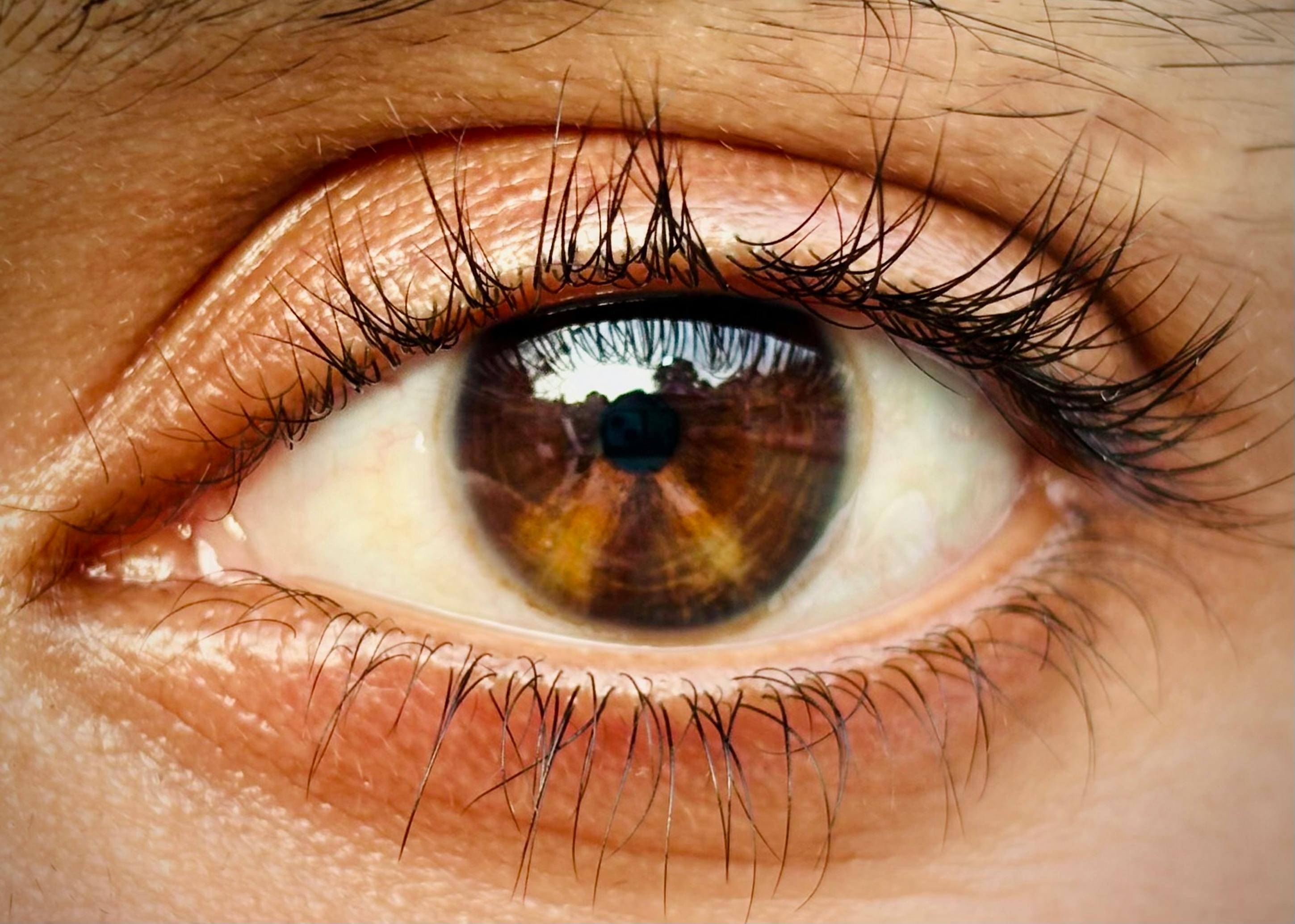 Close-Up of a Brown Human Eye with Reflection · Free Stock Photo