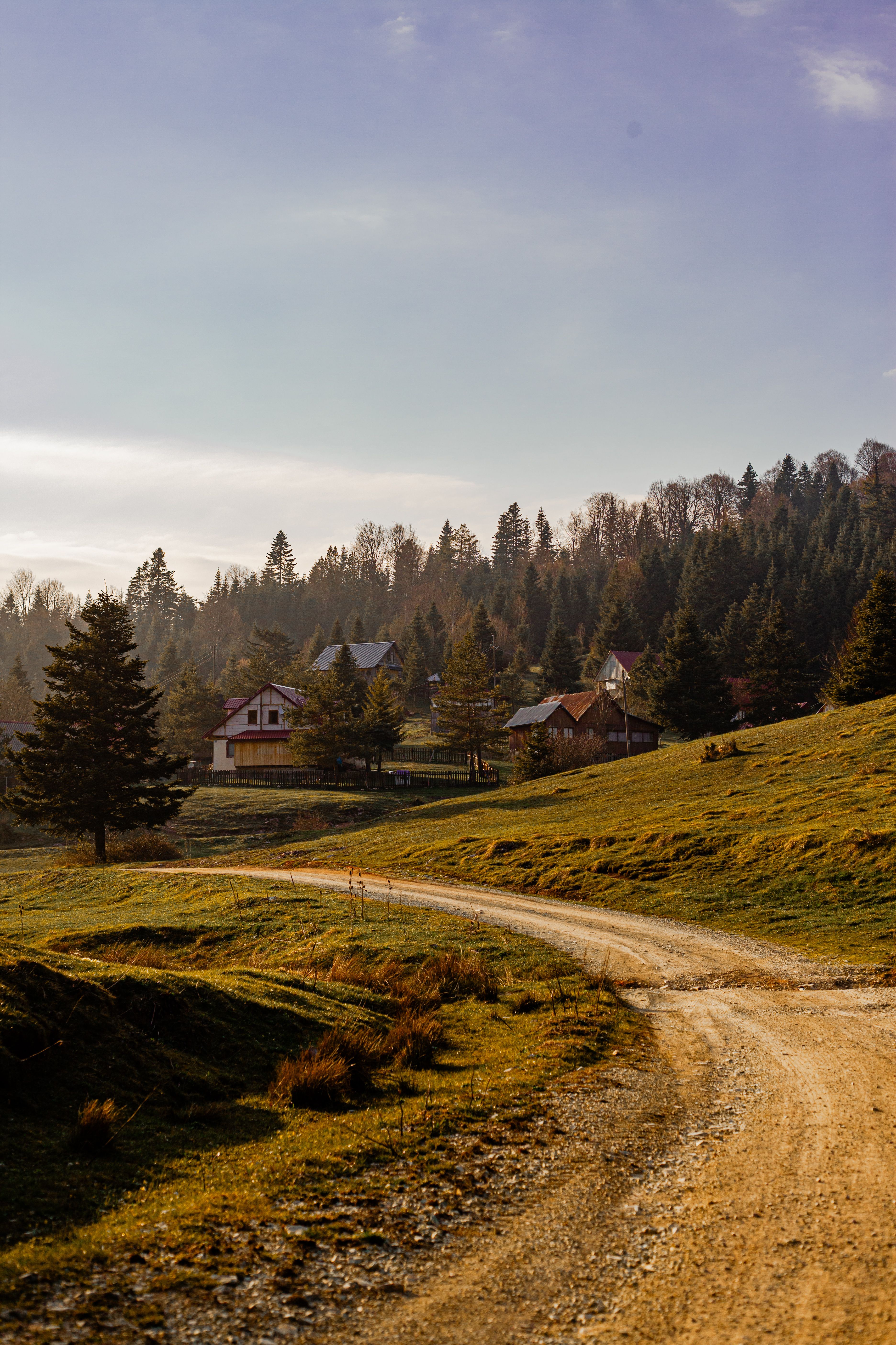 Scenic Rural Landscape with Country Road · Free Stock Photo