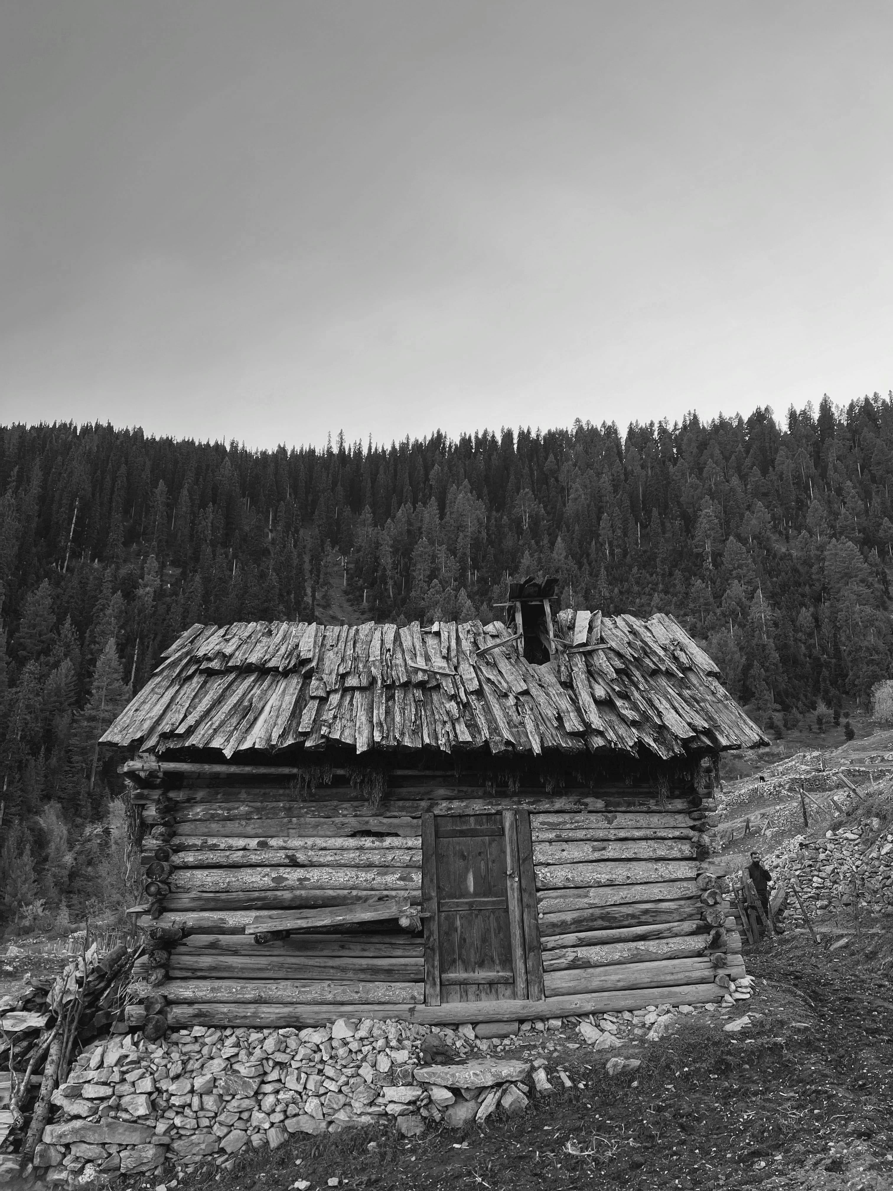Rustic Wooden Hut in Forest Block · Free Stock Photo