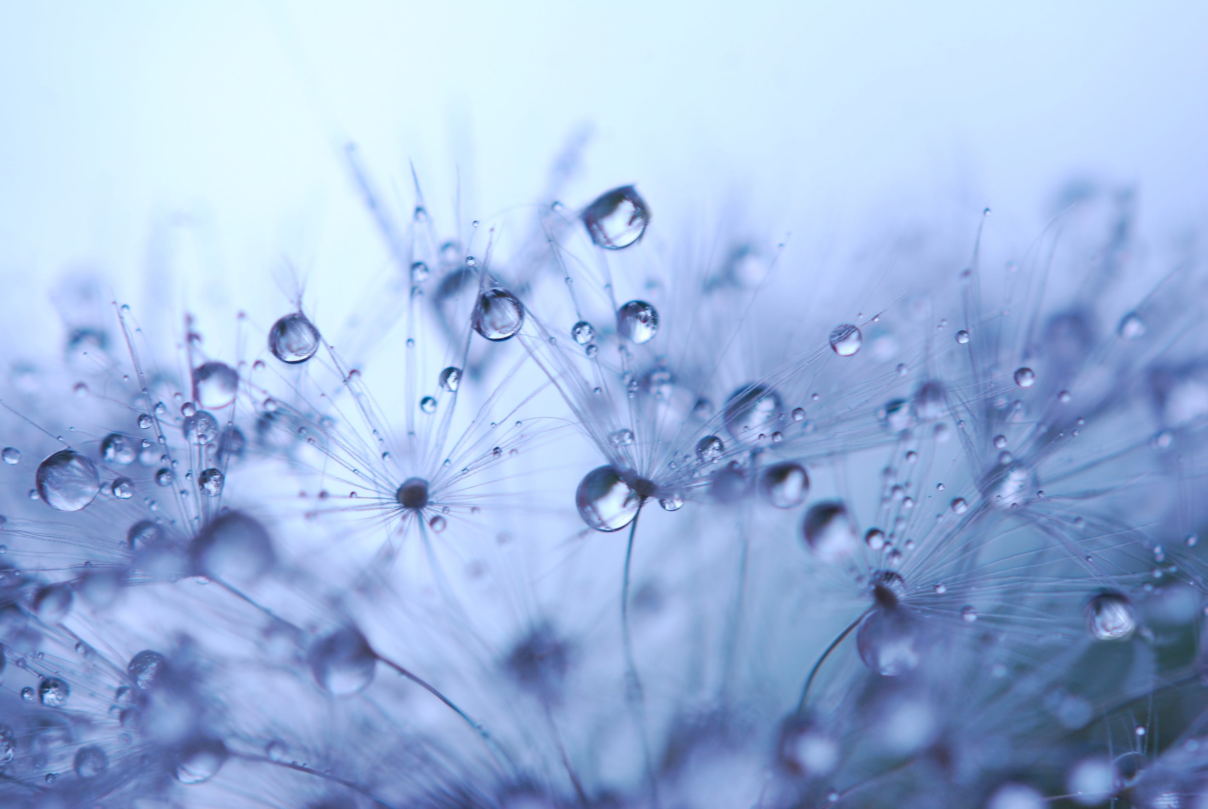 Background Blur Biru Photos, Download The BEST Free Background Blur ...