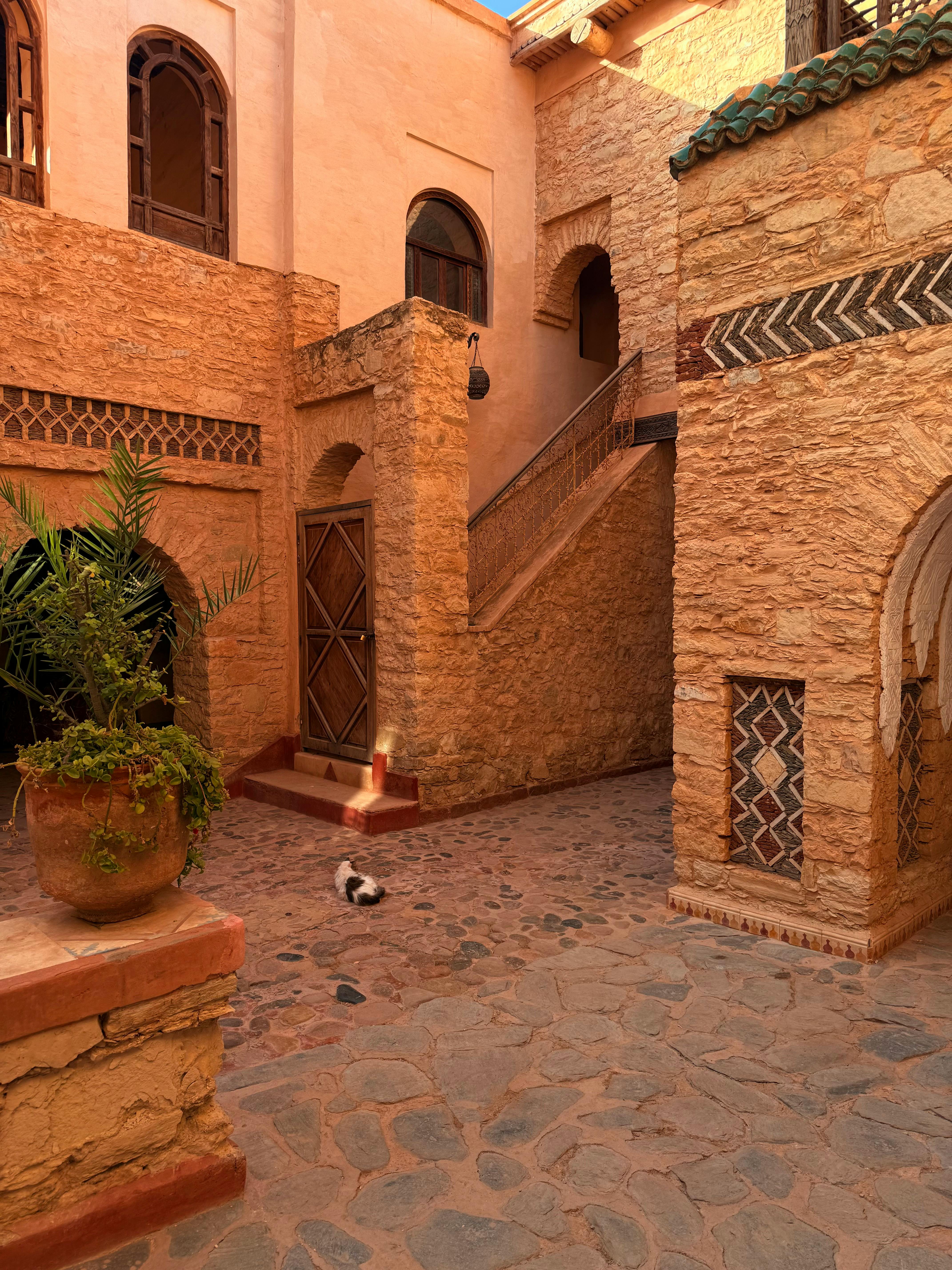 Windows Cat Wallpaper Photos, Download The BEST Free Windows Cat ...