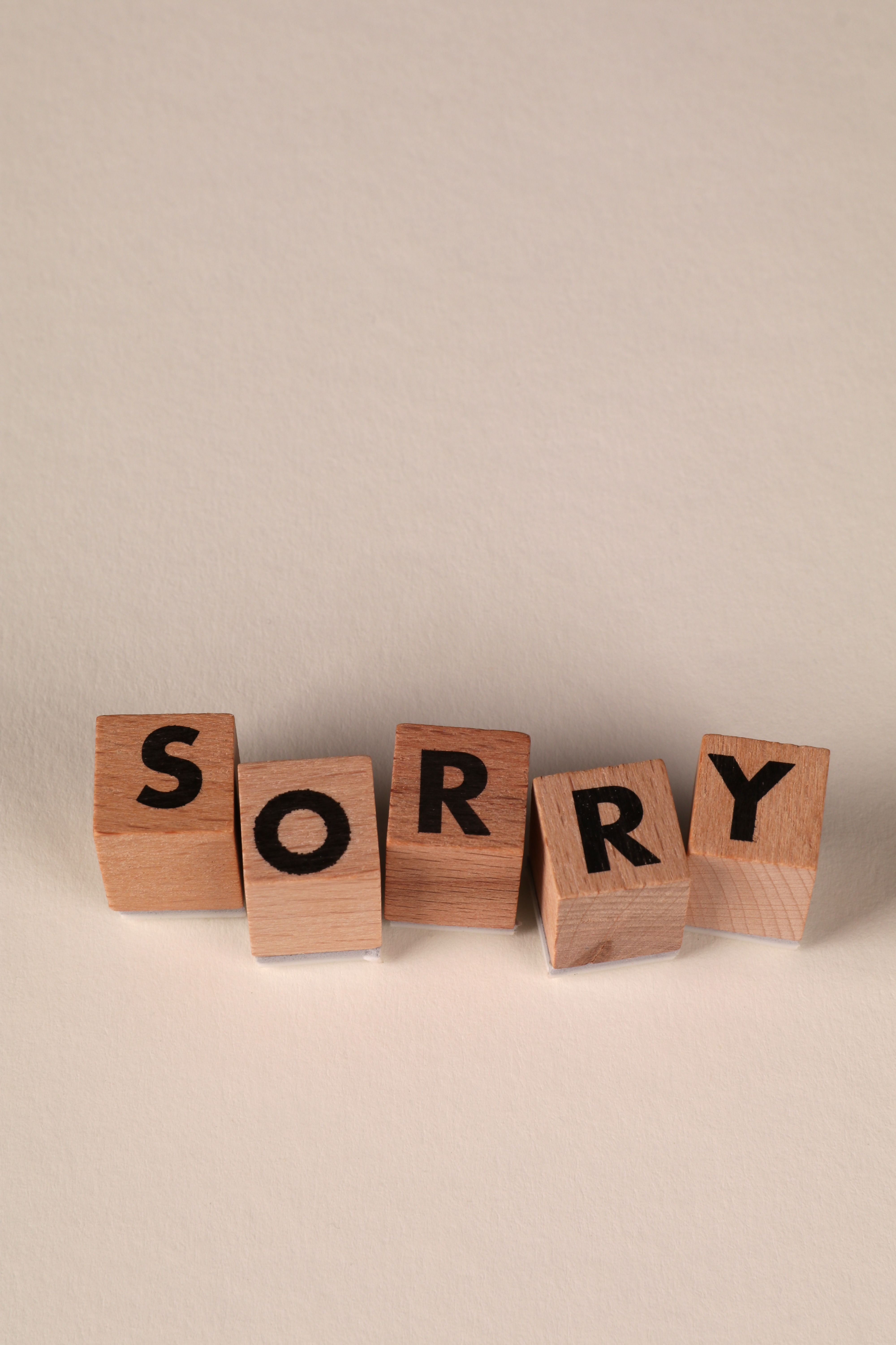 Sorry Photos, Download The BEST Free Sorry Stock Photos & HD Images