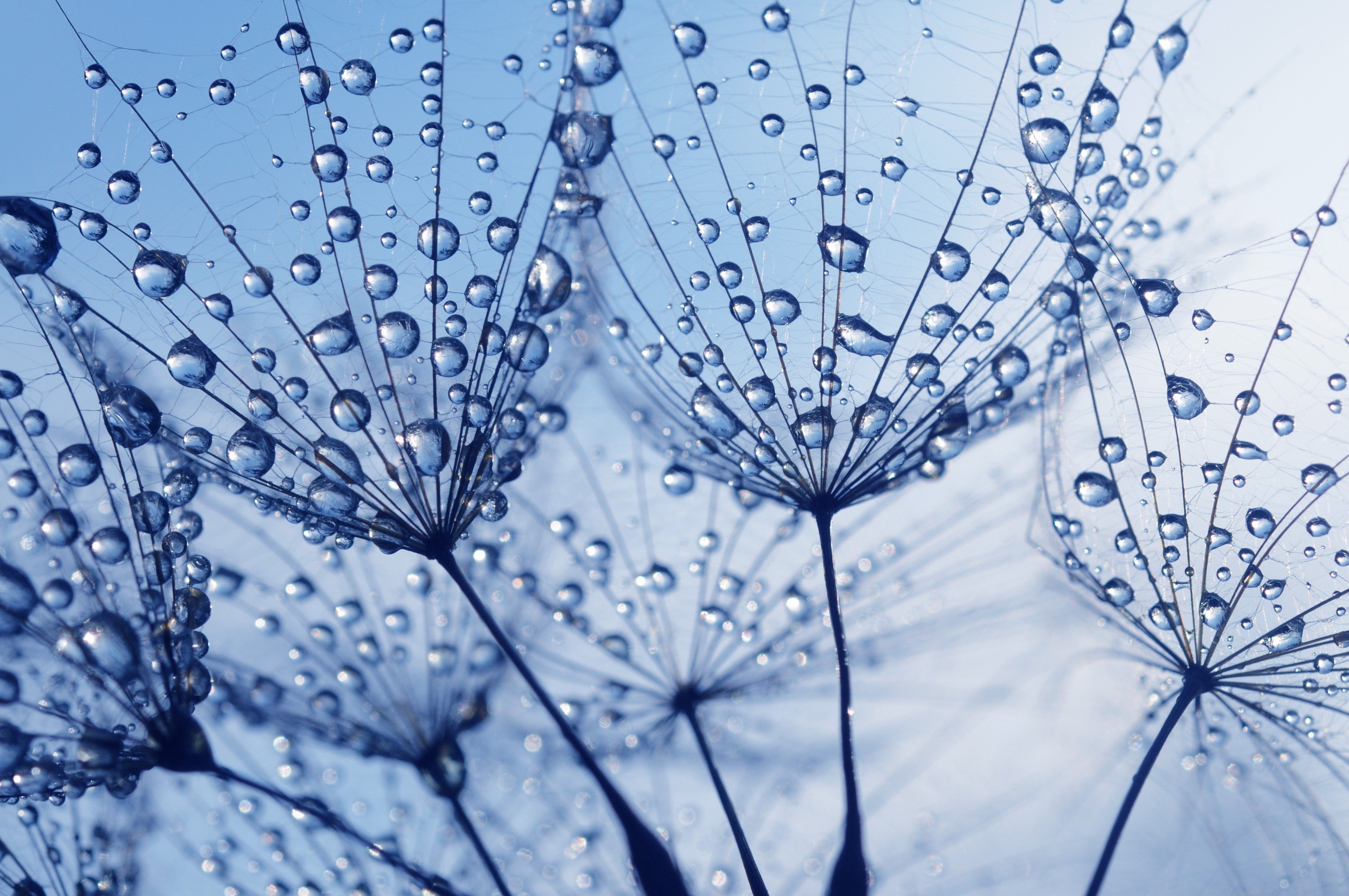 Abstract Nature Photos, Download The BEST Free Abstract Nature Stock ...