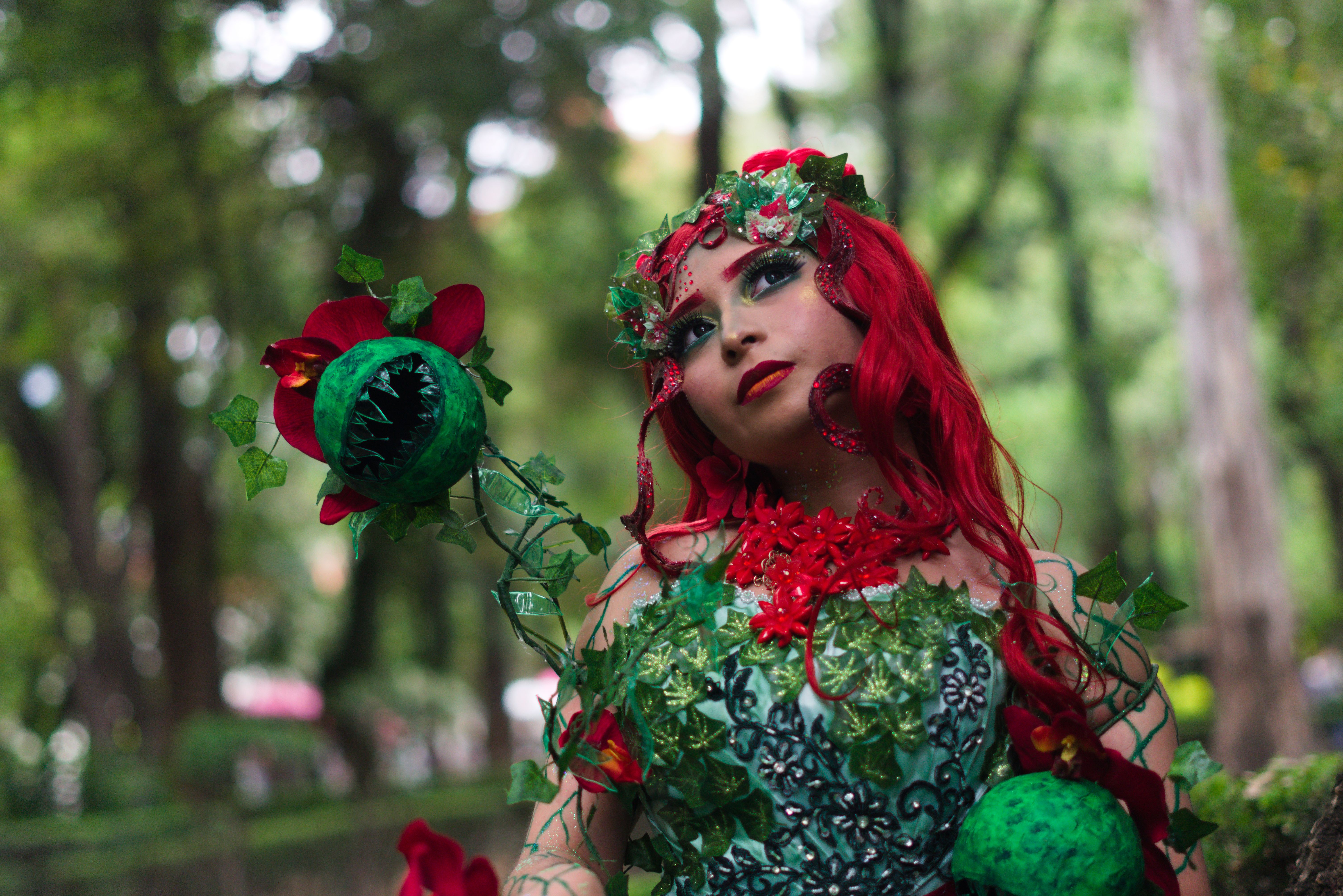 Fantasy Cosplay in Enchanted Forest Setting · Free Stock Photo