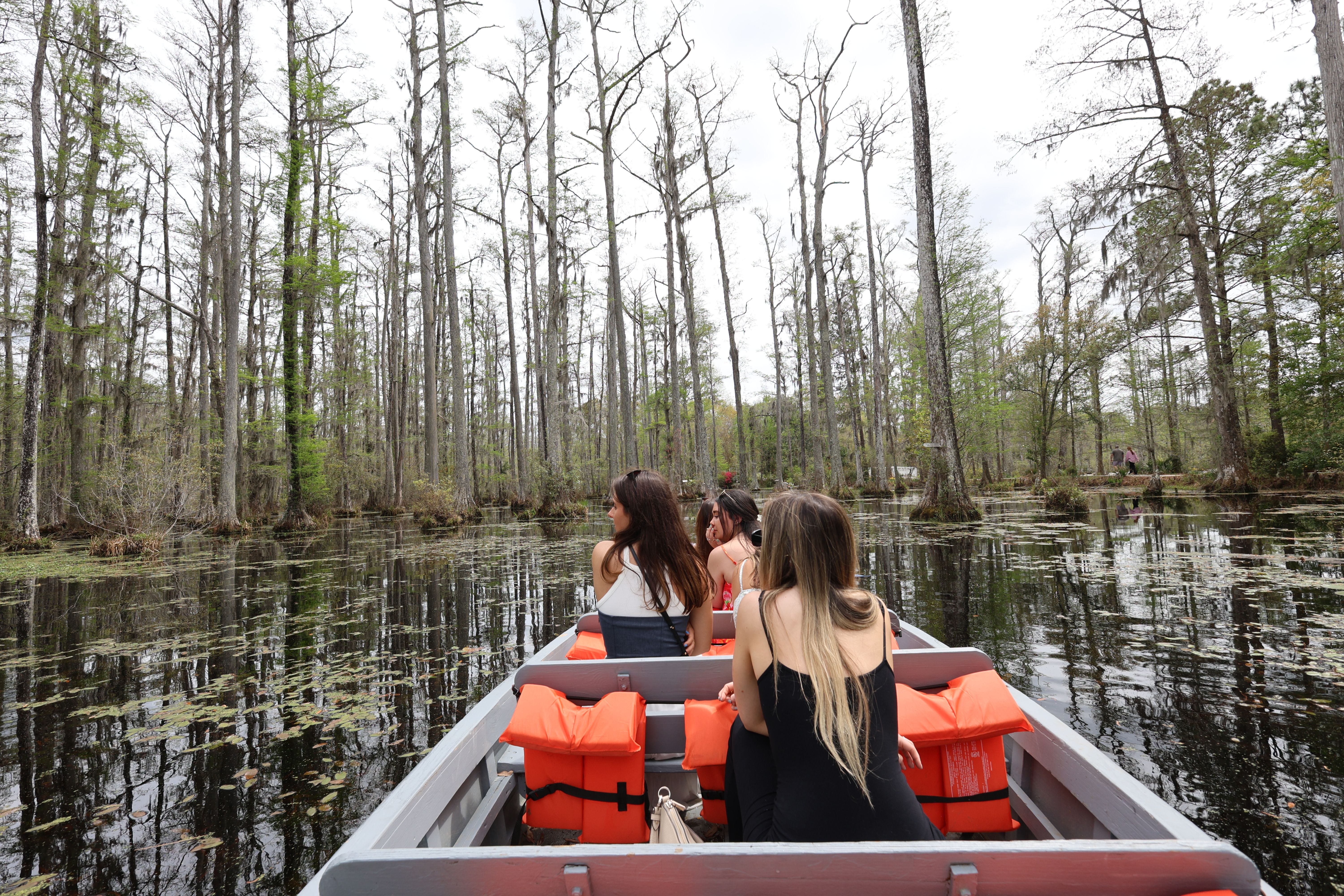 Boat Ride in South Carolina Swamp Landscape · Free Stock Photo
