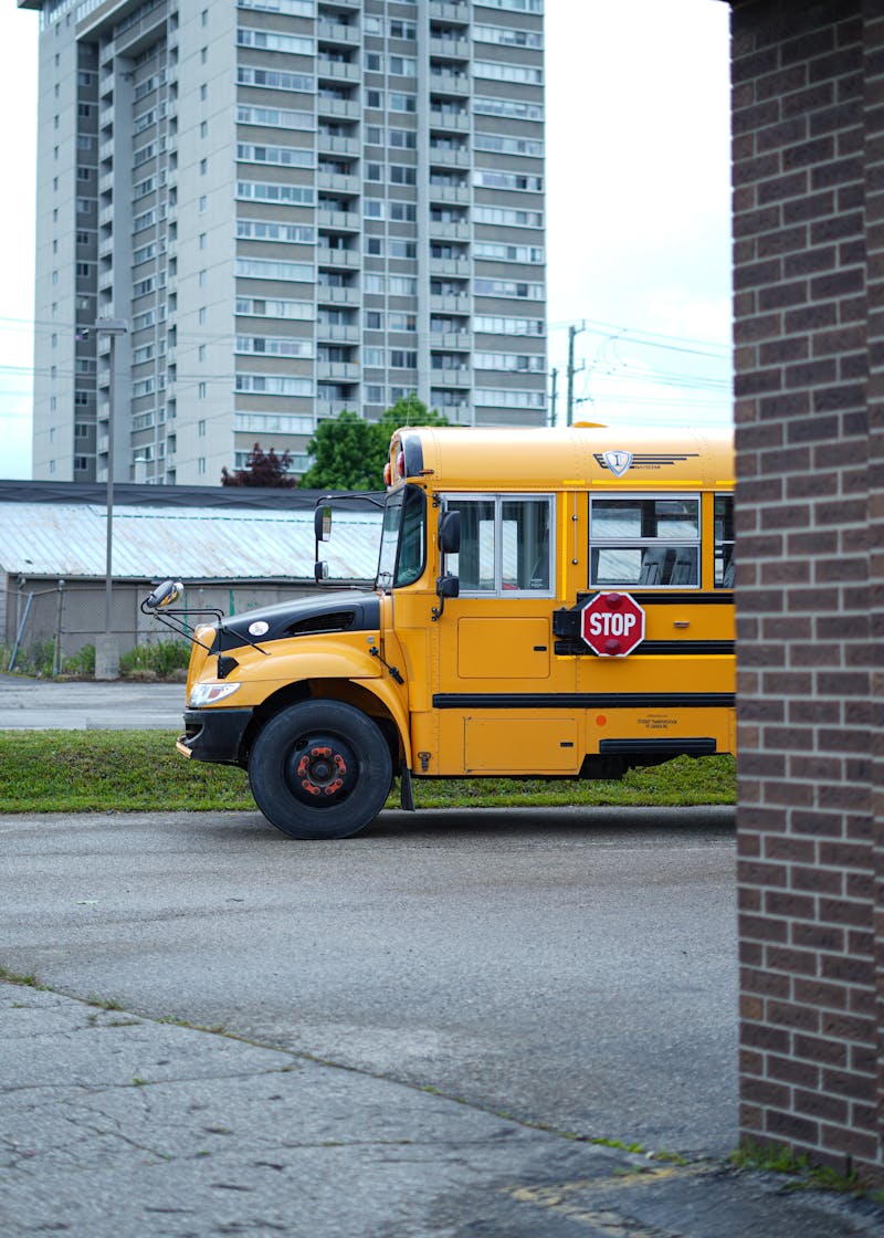 School Bus Photos, Download The BEST Free School Bus Stock Photos & HD ...